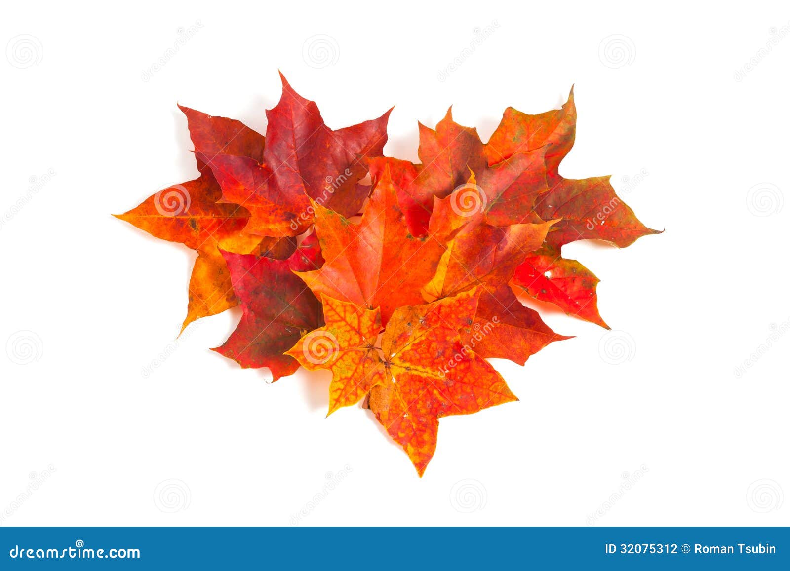 Autumn Maple Leaves, Heart Shape Stock Photo - Image of letter, forest ...