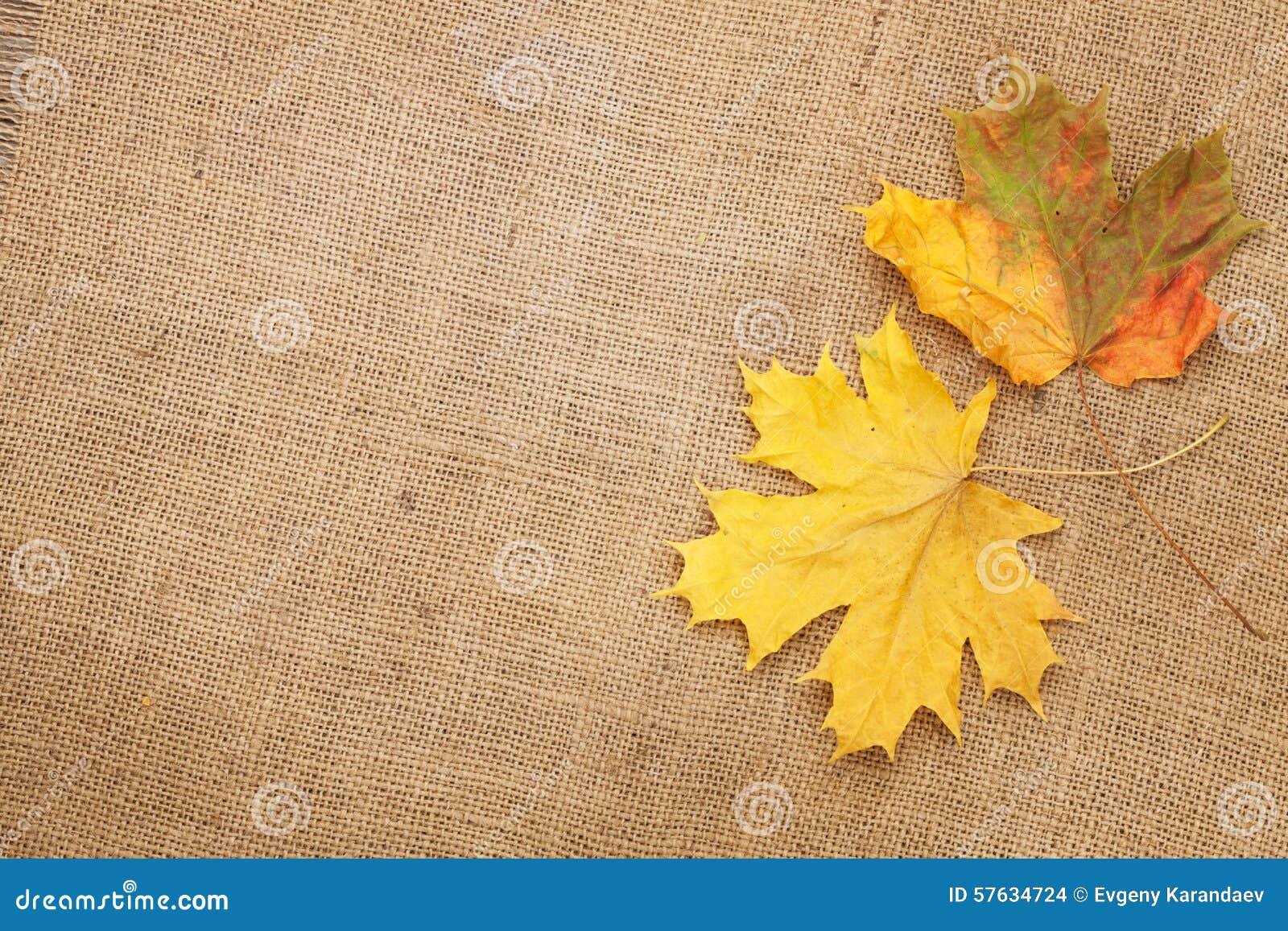 Burlap Leaves Wallpapers