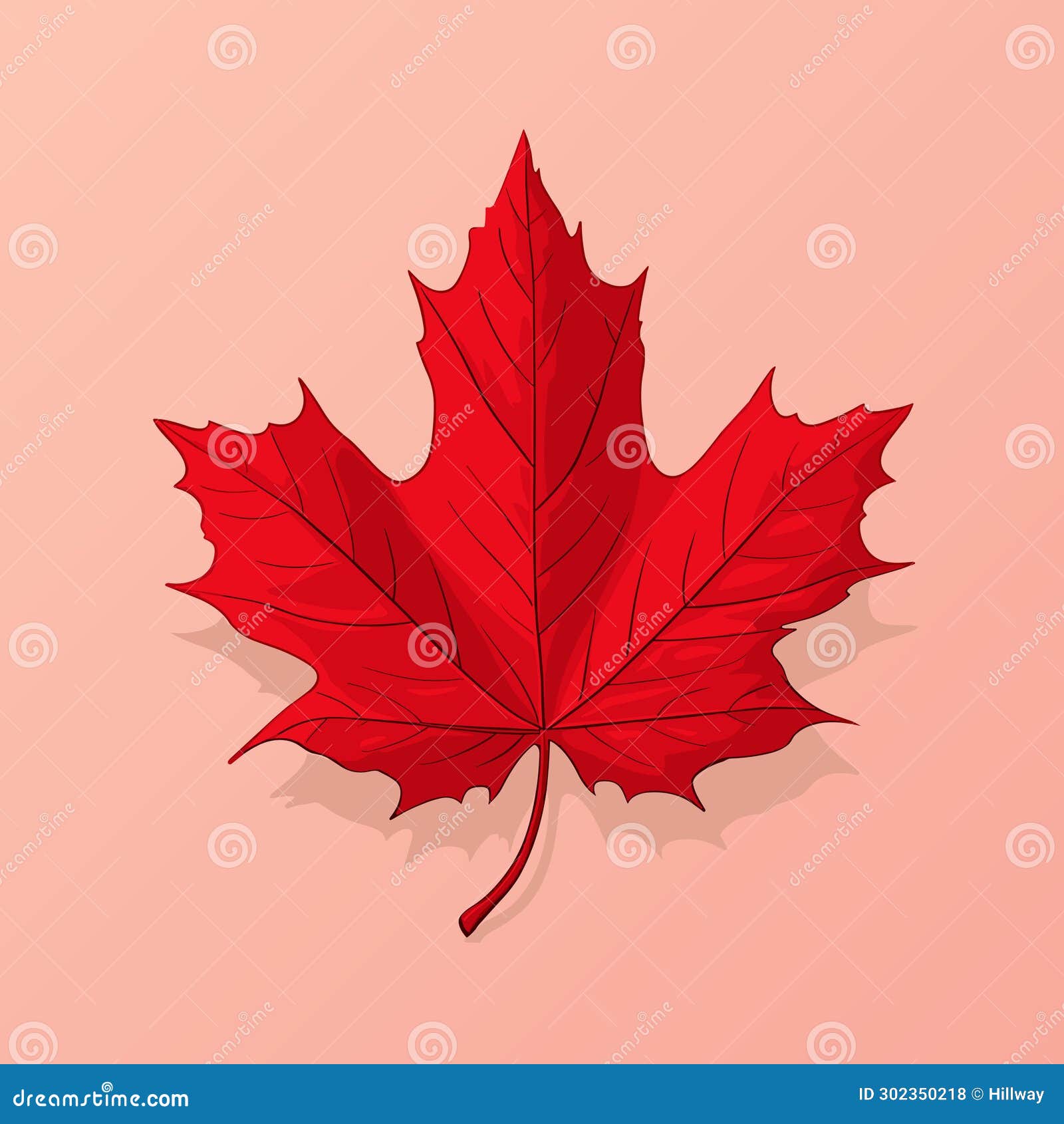 Autumn Maple Red Leaf Isolated, Vector Illustration Stock Illustration ...