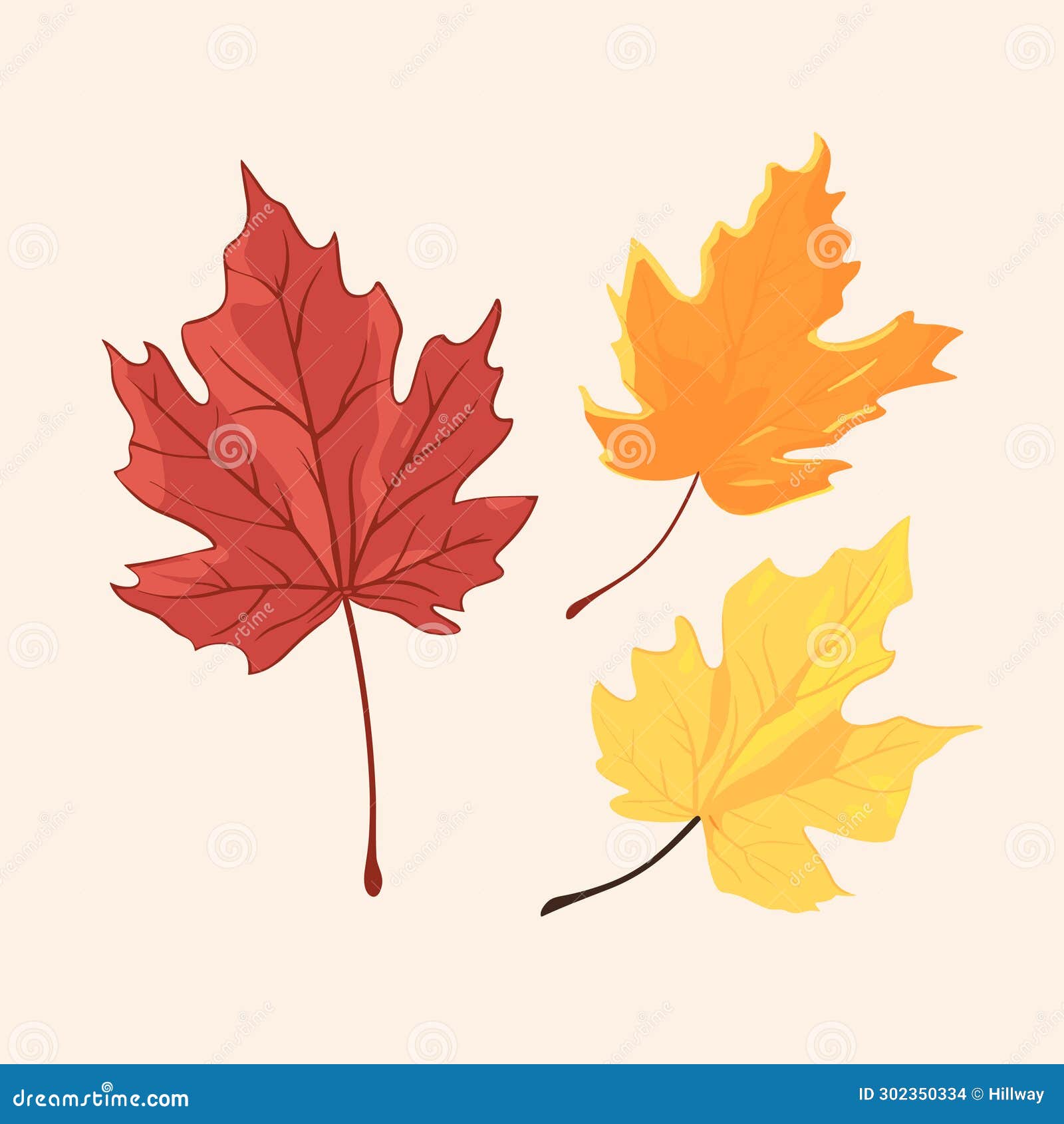 Autumn Maple Red and Yellow Leaves Isolated, Vector Illustration Stock ...