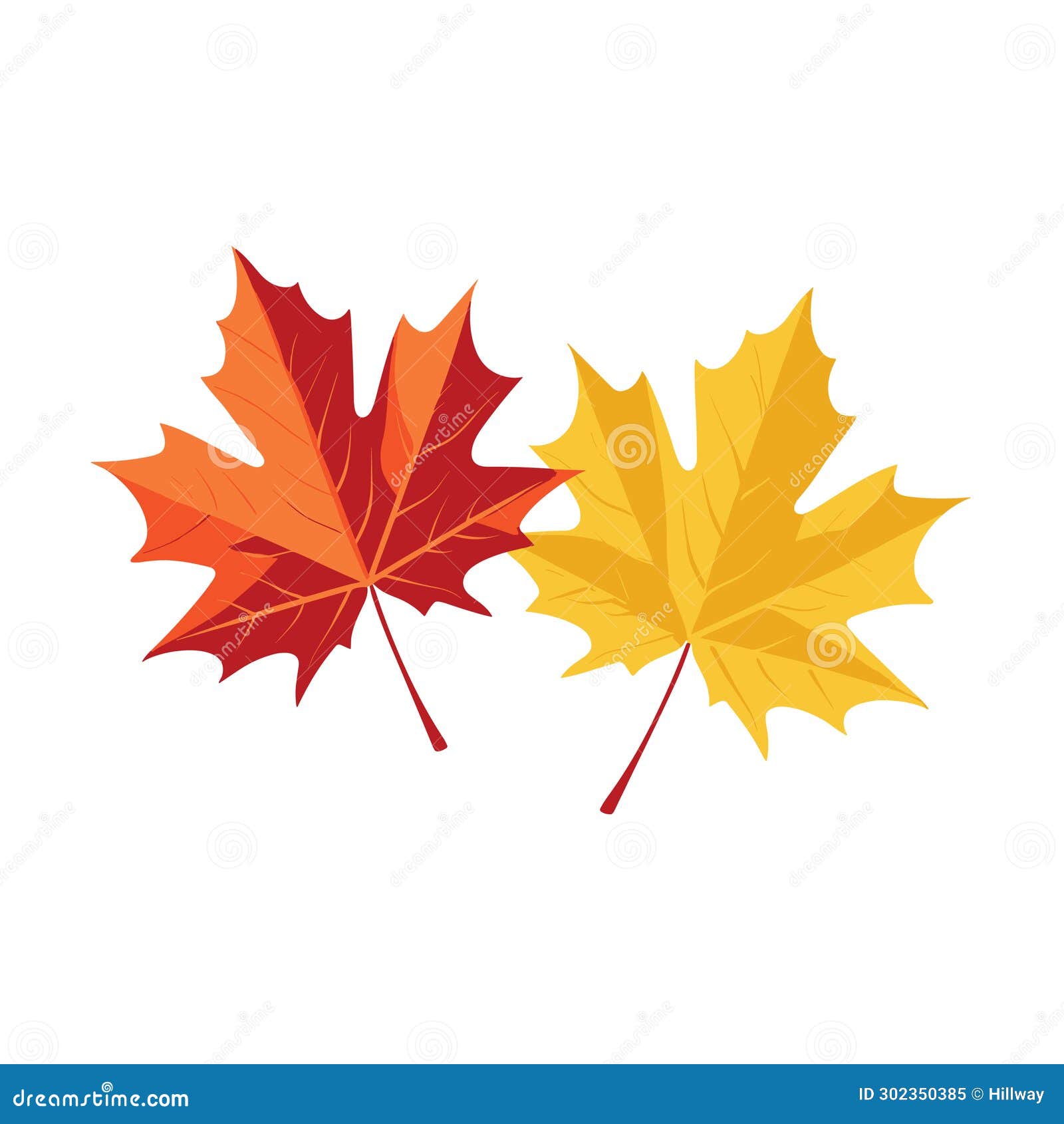 Autumn Maple Red and Yellow Leaves Isolated, Vector Illustration Stock ...