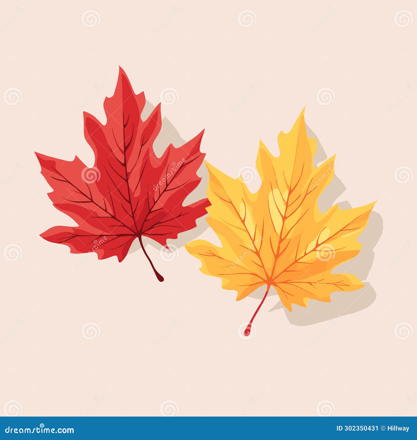 Autumn Maple Red and Yellow Leaves Isolated, Vector Illustration Stock ...