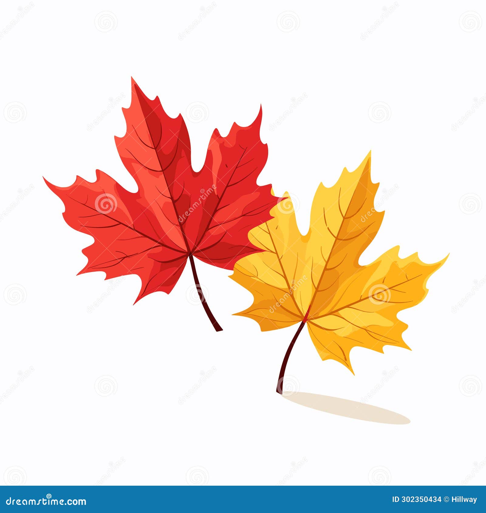 Autumn Maple Red and Yellow Leaves Isolated, Vector Illustration Stock ...