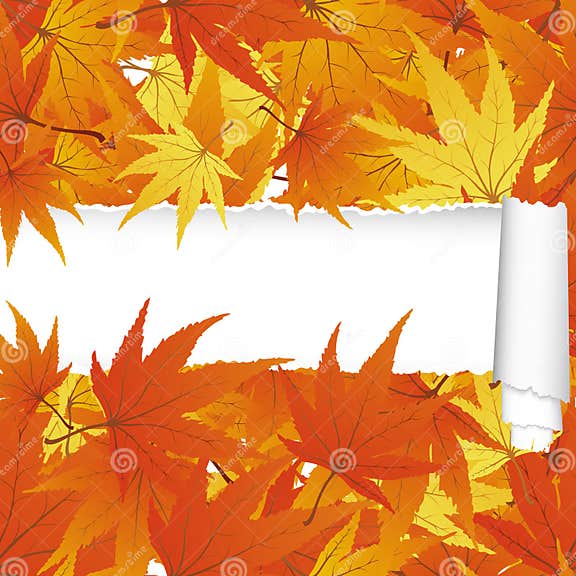 Autumn Maple Seamless Pattern with Ripped Stripe Stock Vector ...