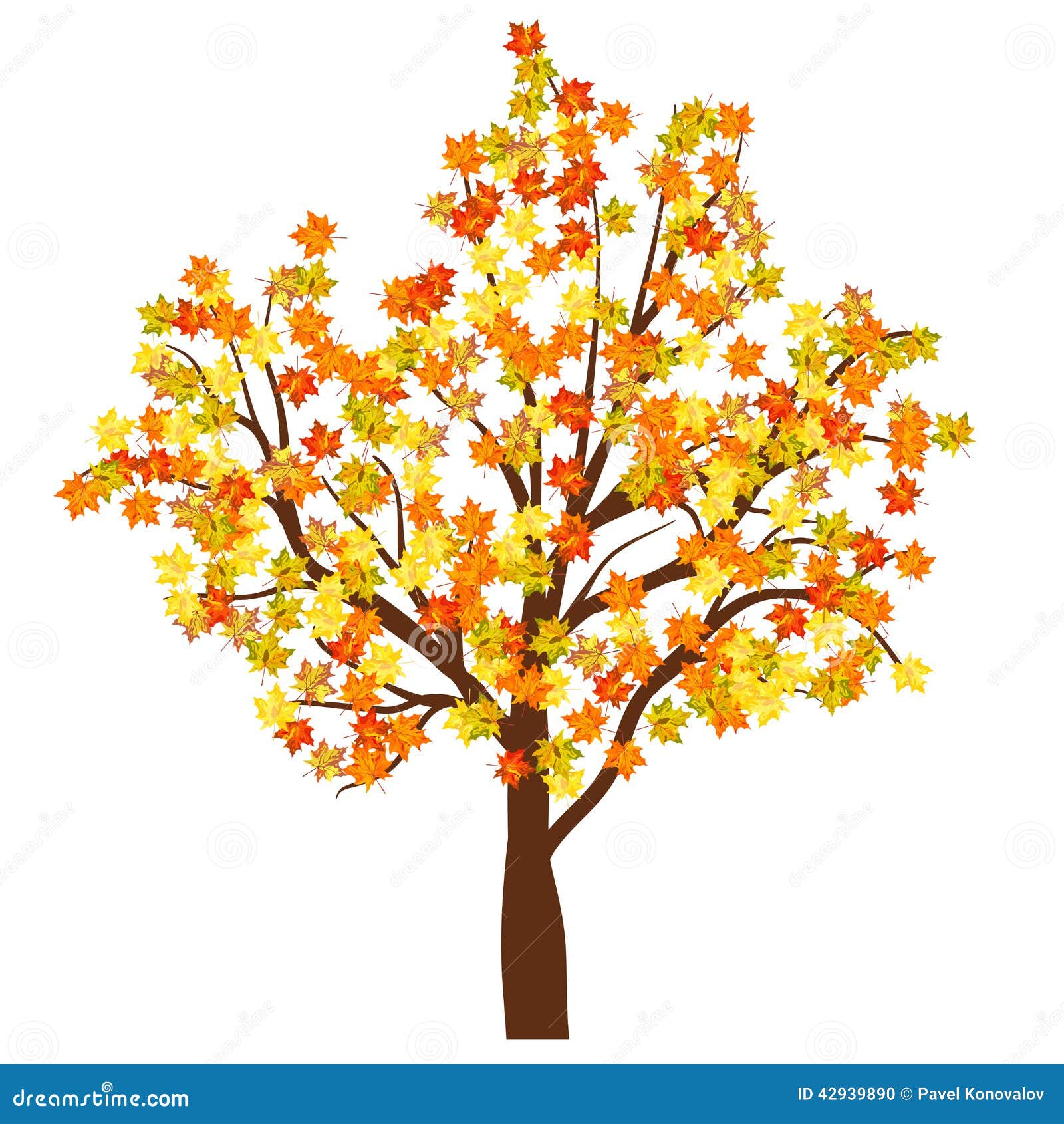 Autumn maple tree stock vector. Illustration of beauty - 42939890 Autumn maple tree stock vector. Illustration of beauty - 42939890