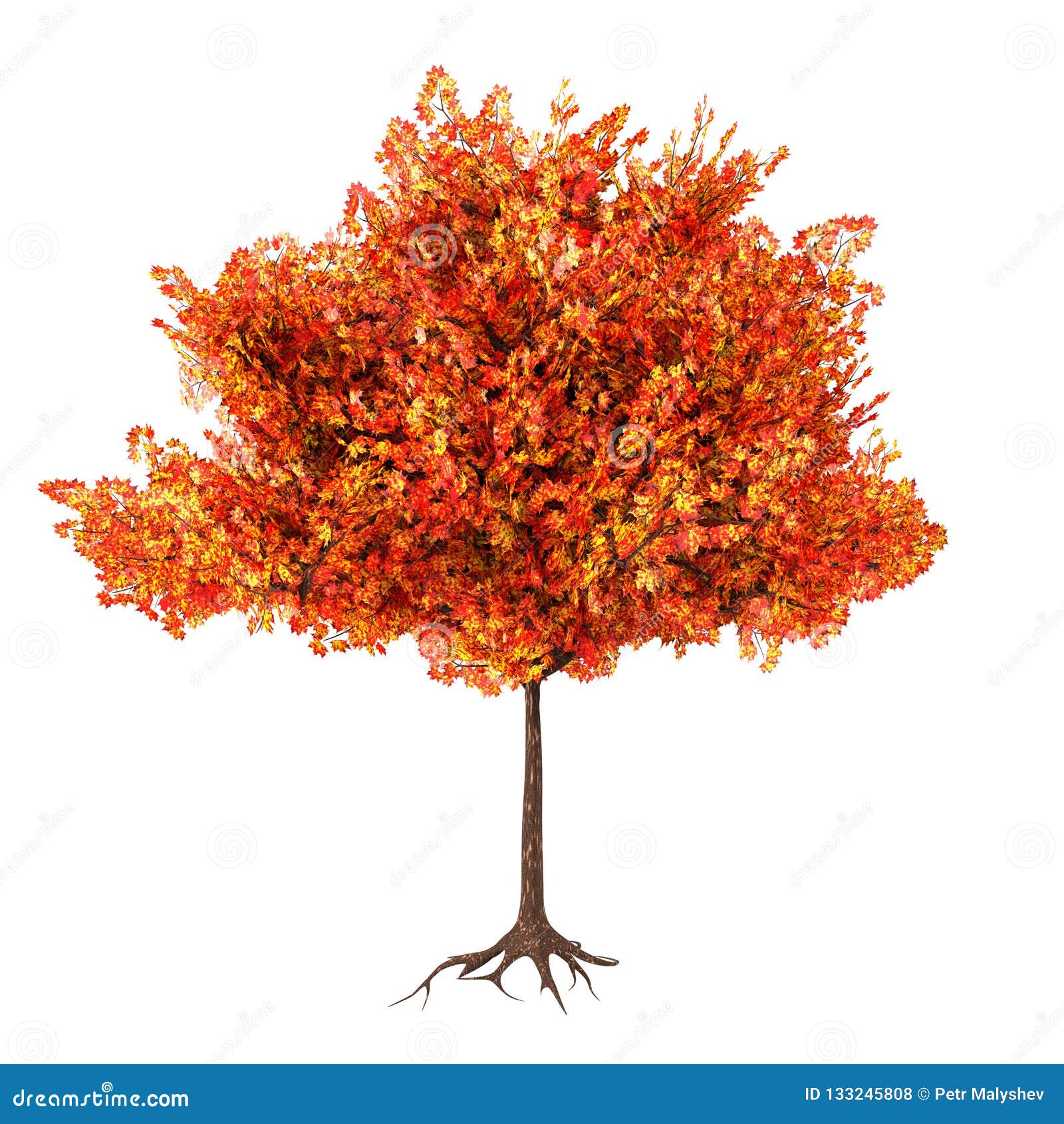 Autumn Maple Tree, 3d Illustration Stock Illustration - Illustration of ...