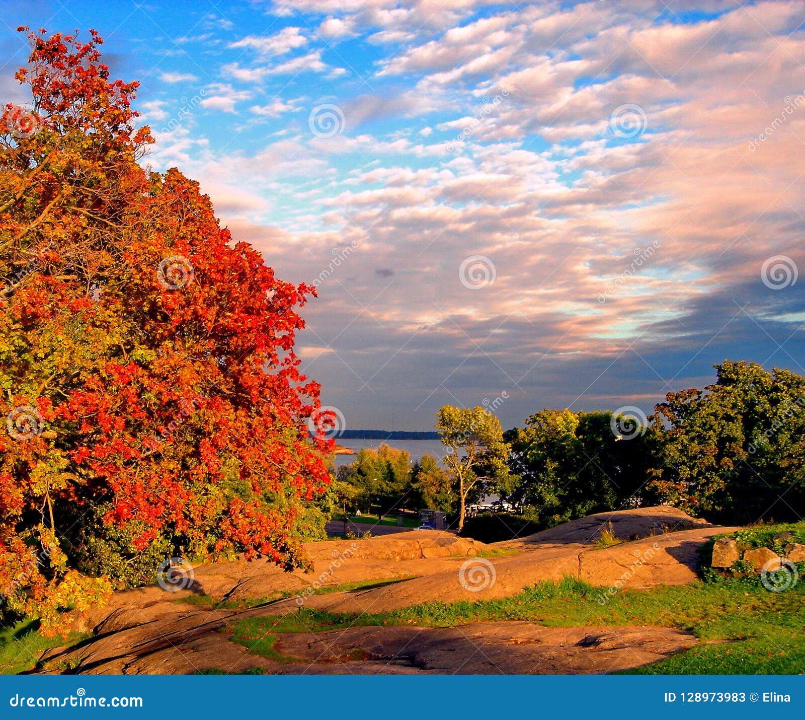 Autumn Maple Trees in Fall City Park Stock Image - Image of leaf ...