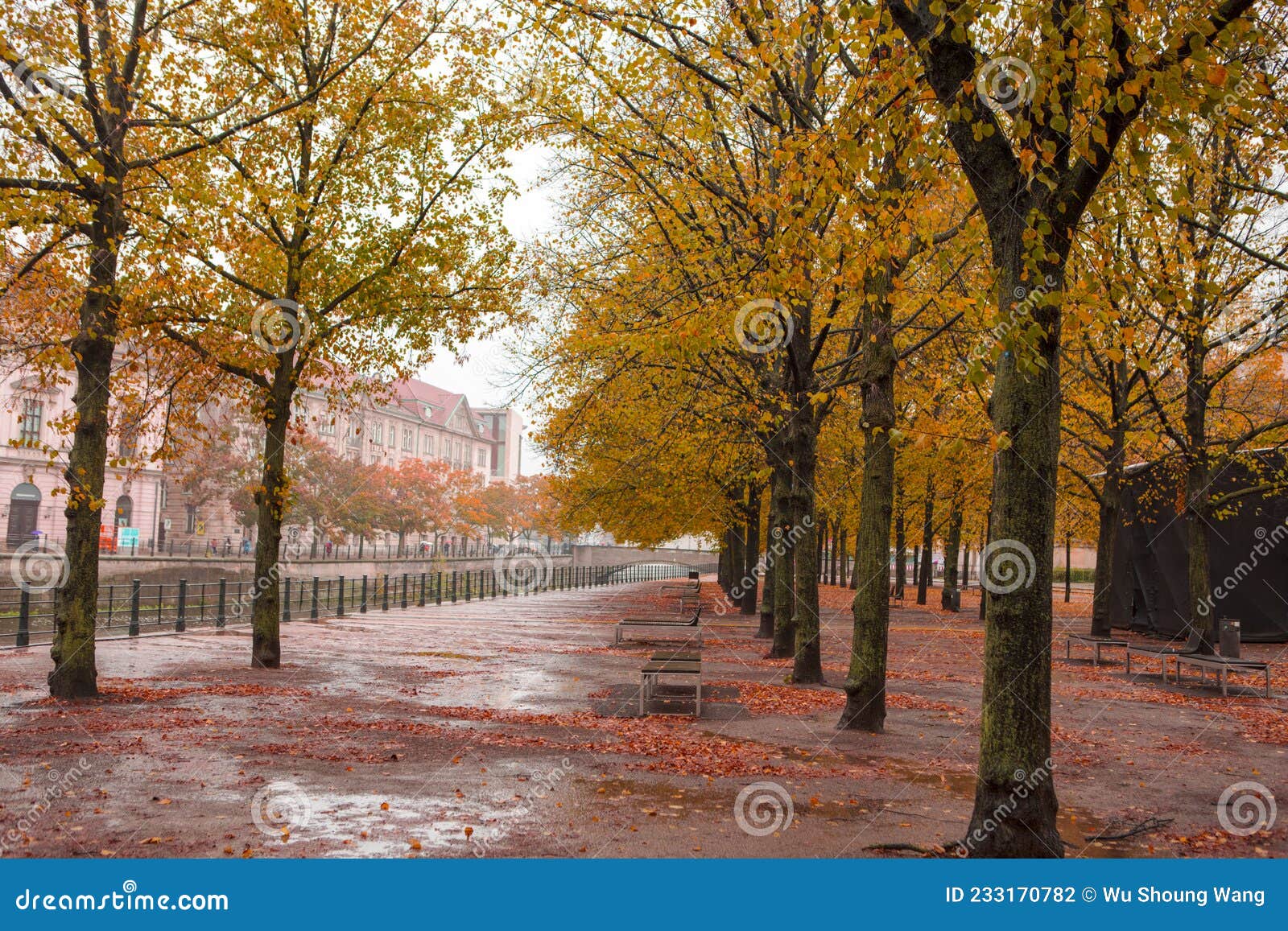 Germany, Berlin, Street Under the Linden Tree, Autumn, Maple Trees ...