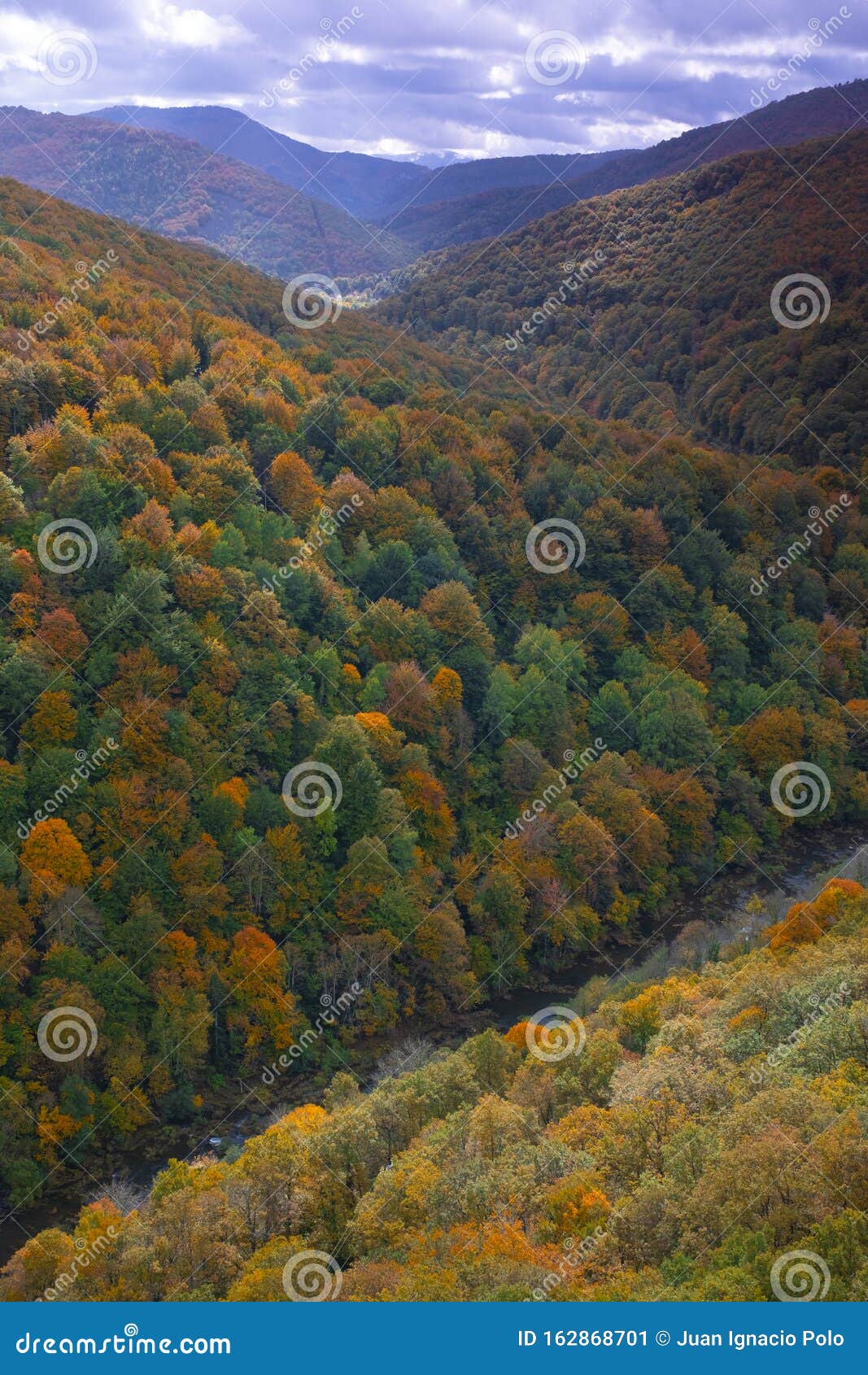 Autumn in the Maple Valley through Which the Irati River Runs, from the ...