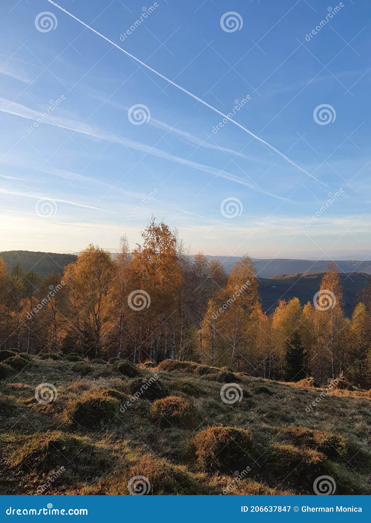 A Walk In Marisel Stock Image | CartoonDealer.com #130591021