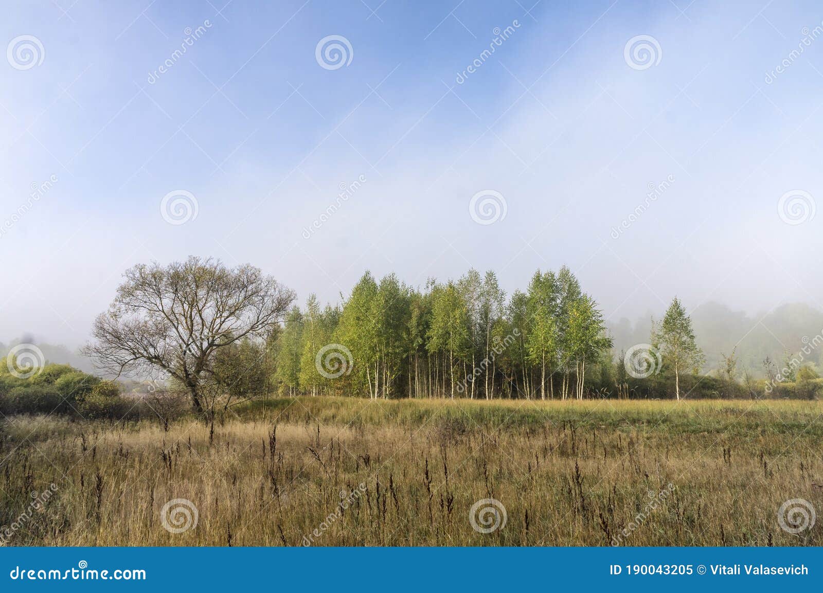 Autumn meadow. Bush stock image. Image of blue, road - 190043205