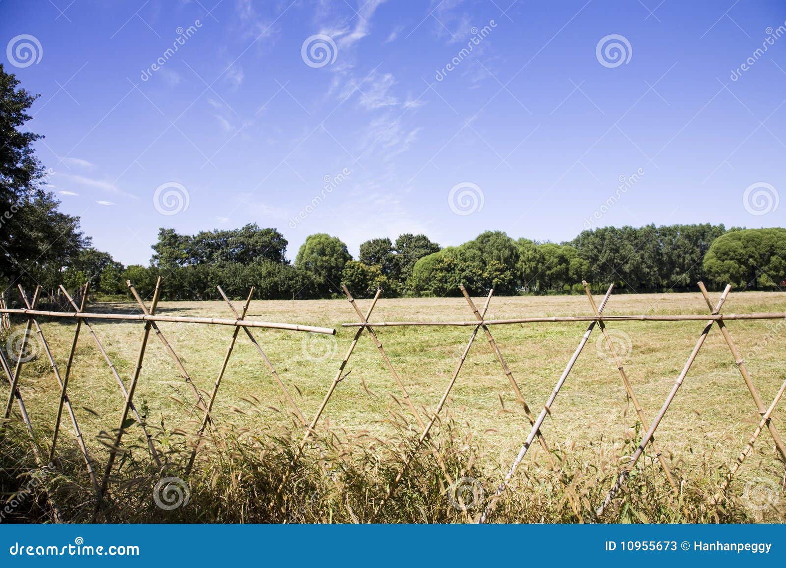 Autumn meadow and fence stock image. Image of clean, rural - 10955673