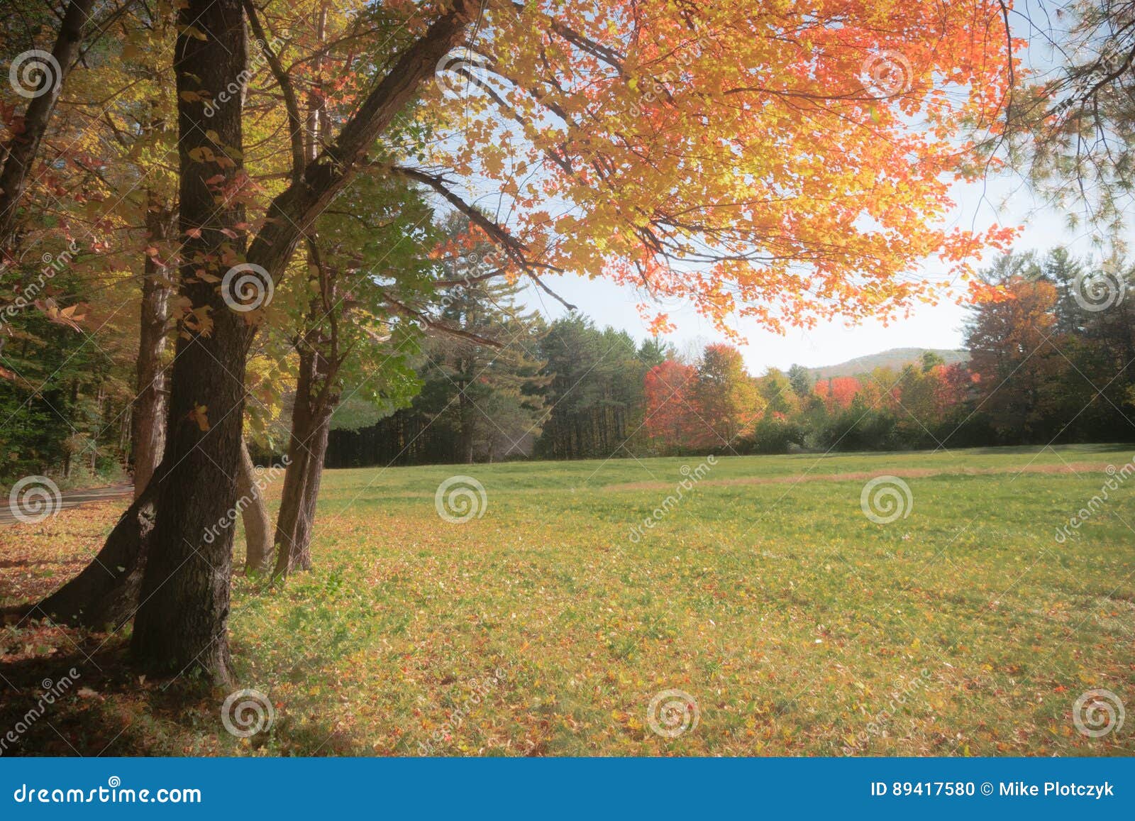 Autumn Meadow stock photo. Image of england, newhampshire - 89417580