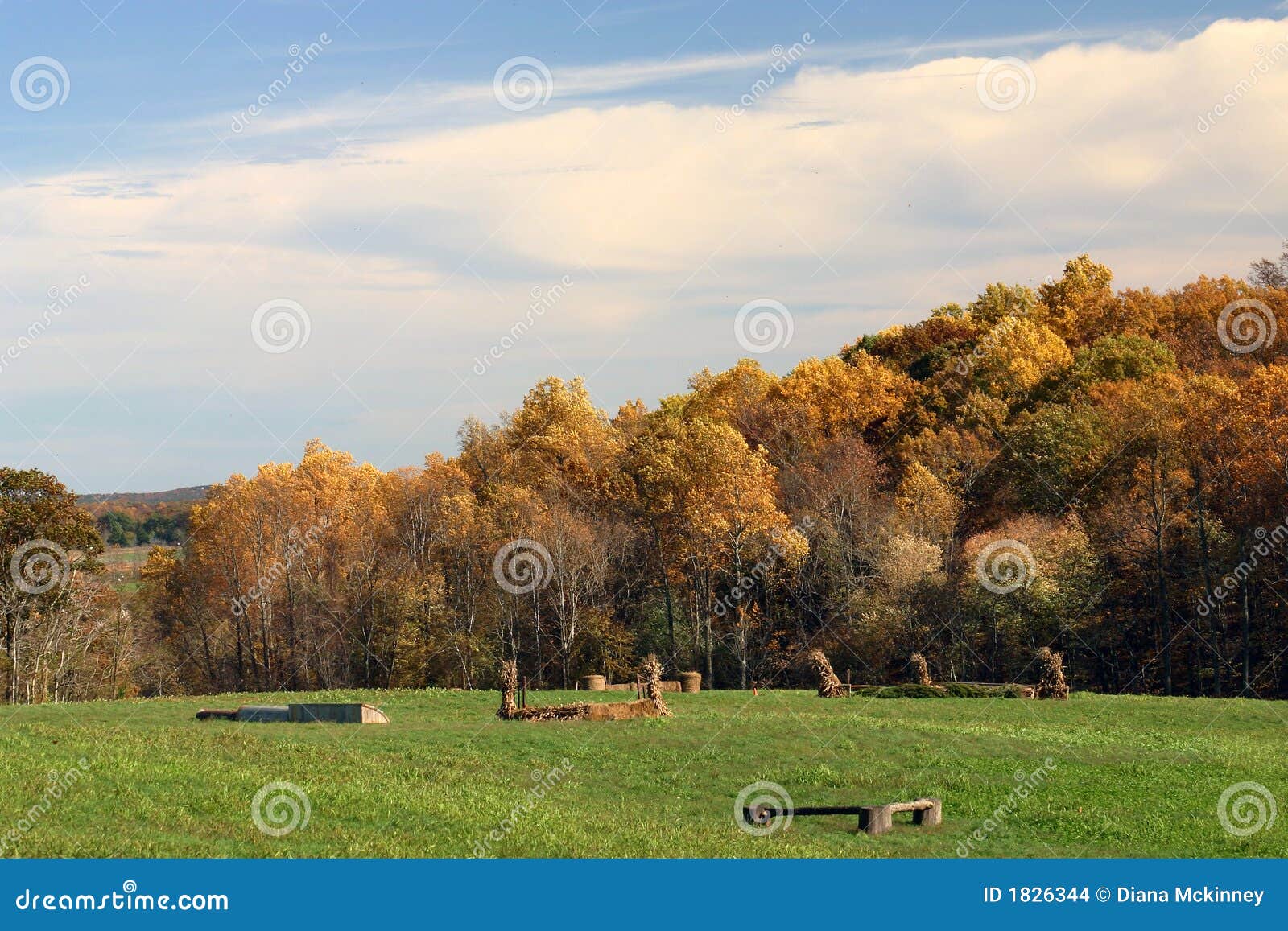 Autumn Meadow and Trees stock photo. Image of autumn, colored - 1826344
