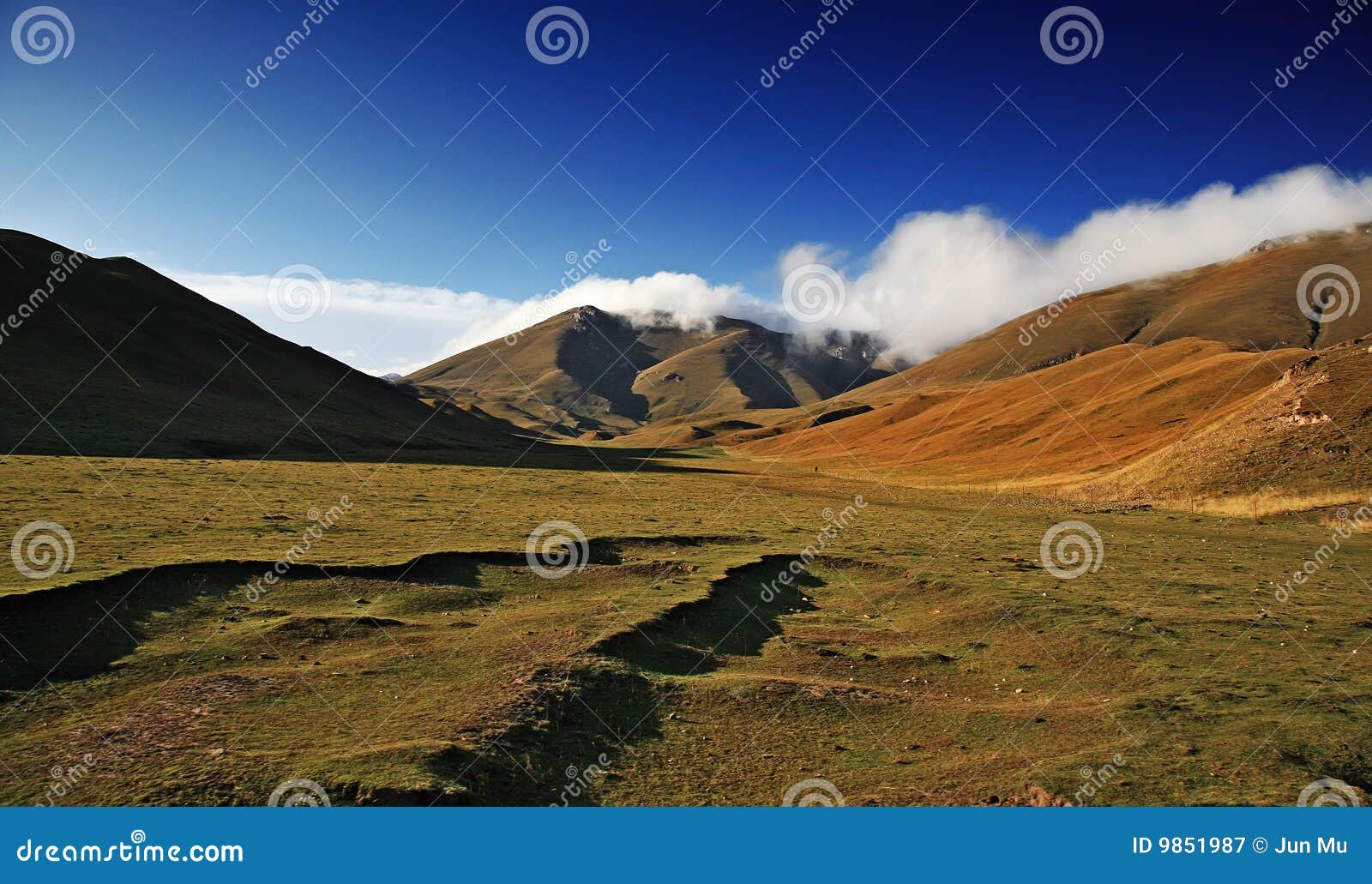 Autumn meadows stock image. Image of beautiful, national - 9851987