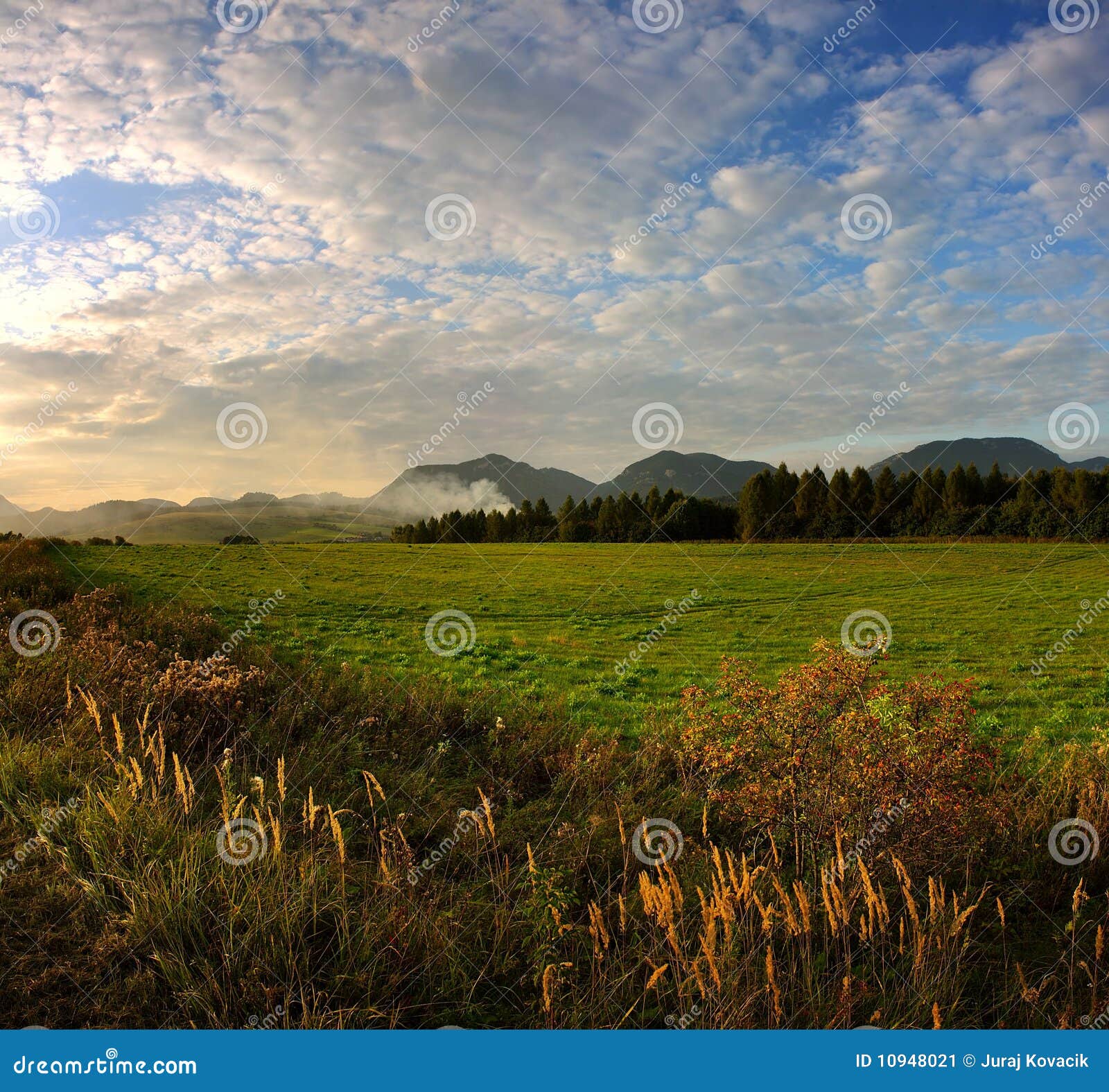 Autumn meadows in sunset stock image. Image of sunset - 10948021