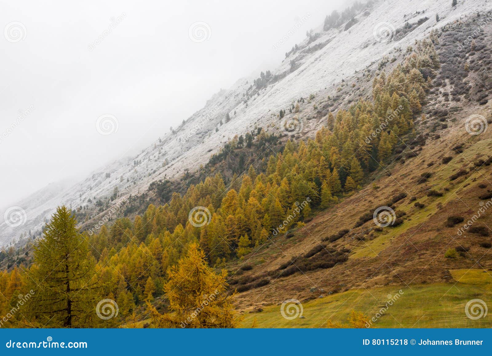 Autumn meets winter stock photo. Image of alps, mountains - 80115218