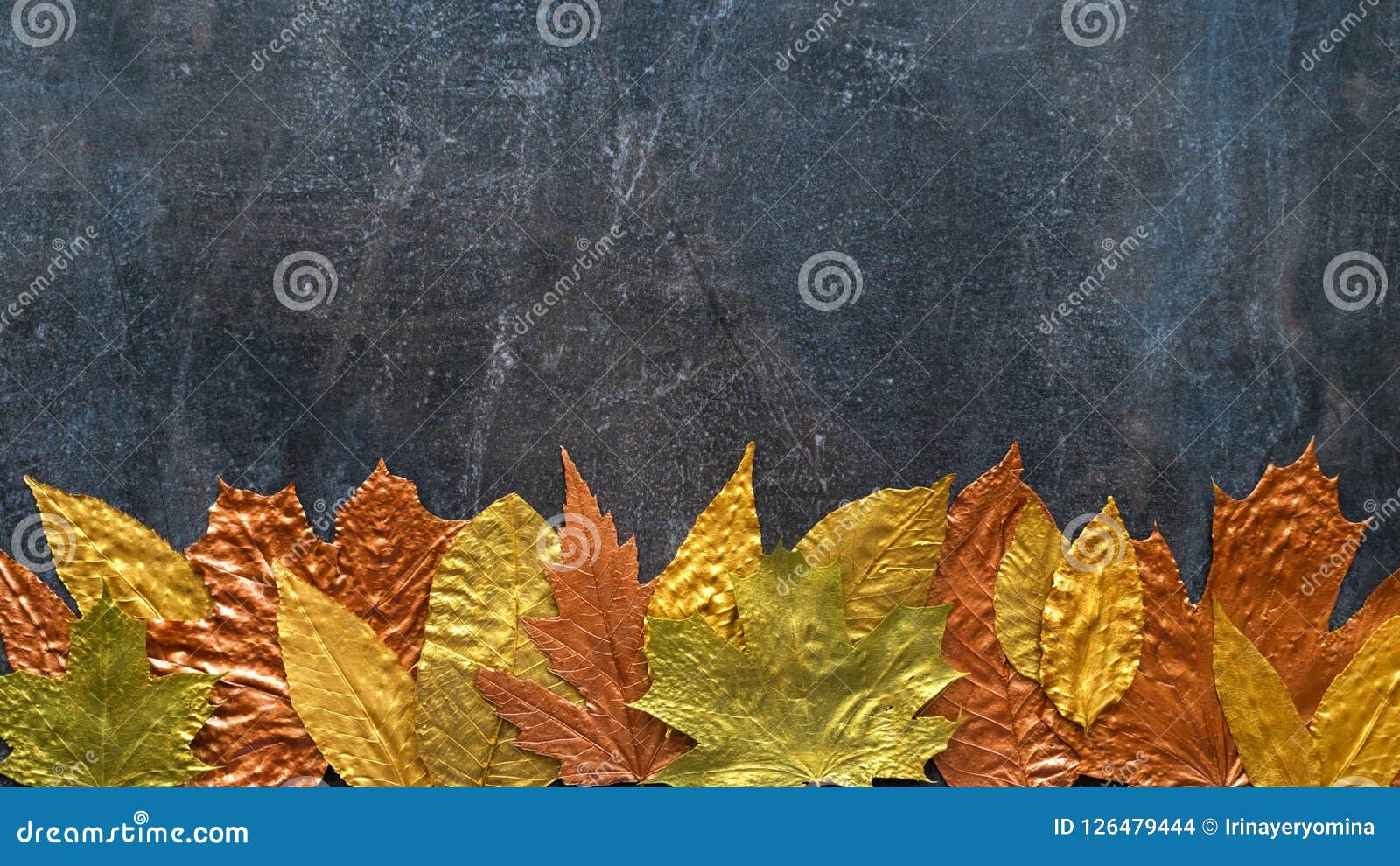 Autumn Metallic Gold Copper Leaf Frame. Different Fall Metallic Stock ...