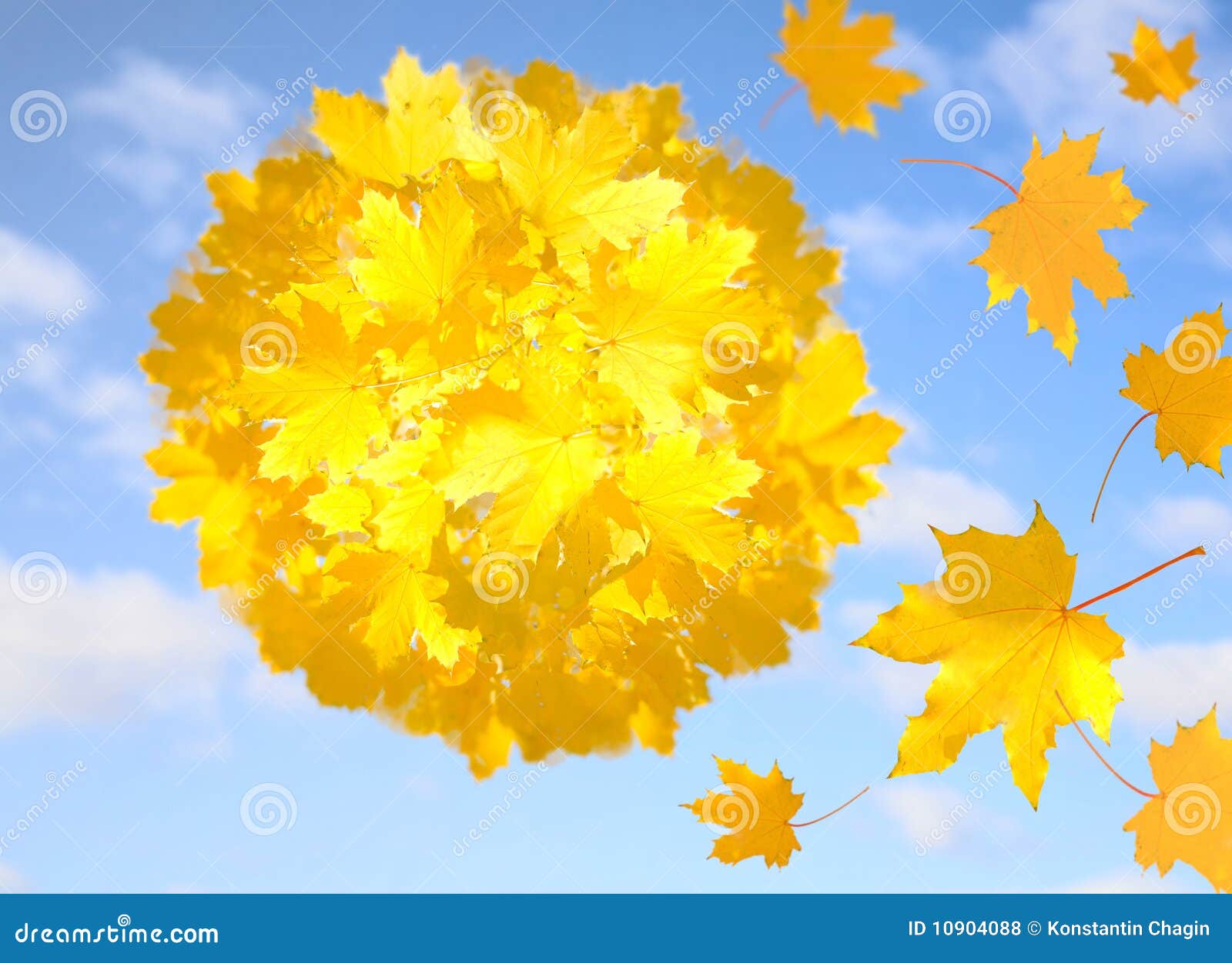 Autumn metaphor stock photo. Image of concepts, forest - 10904088