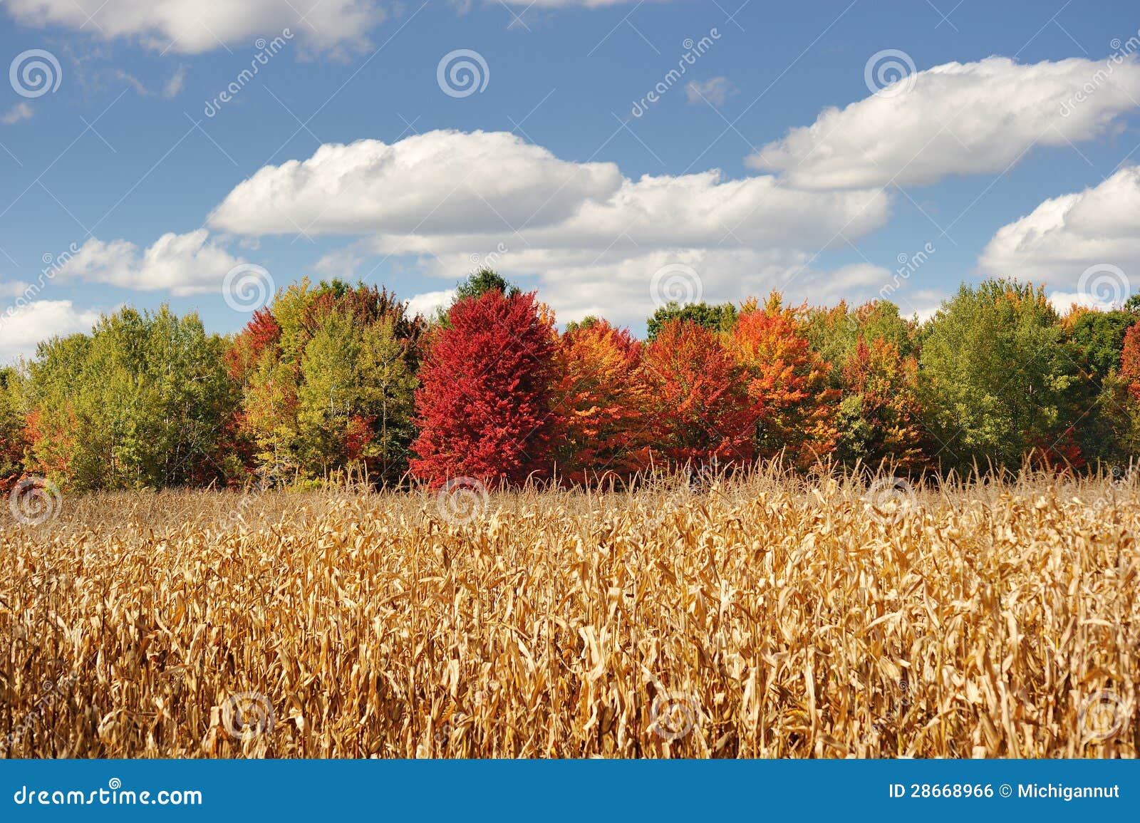 Autumn in Michigan Farm Land Stock Photo - Image of clouds, growing ...