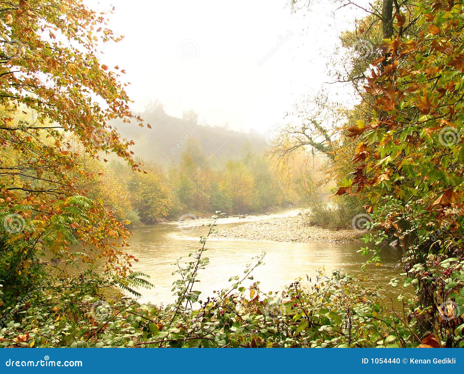 Autumn mist stock photo. Image of landscape, rainy, forest - 1054440