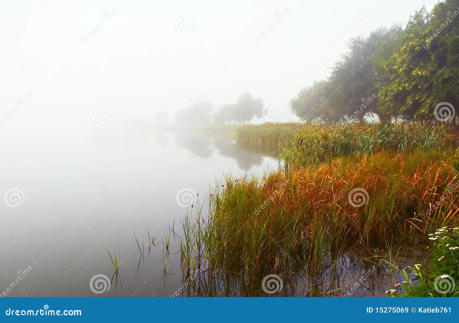 Autumn Mist stock image. Image of norfolk, mist, lake - 15275069