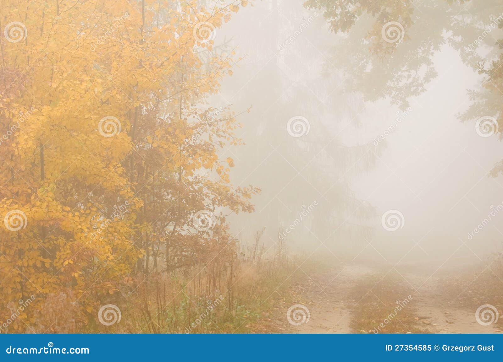 Autumn mist stock image. Image of purple, brown, mystery - 27354585