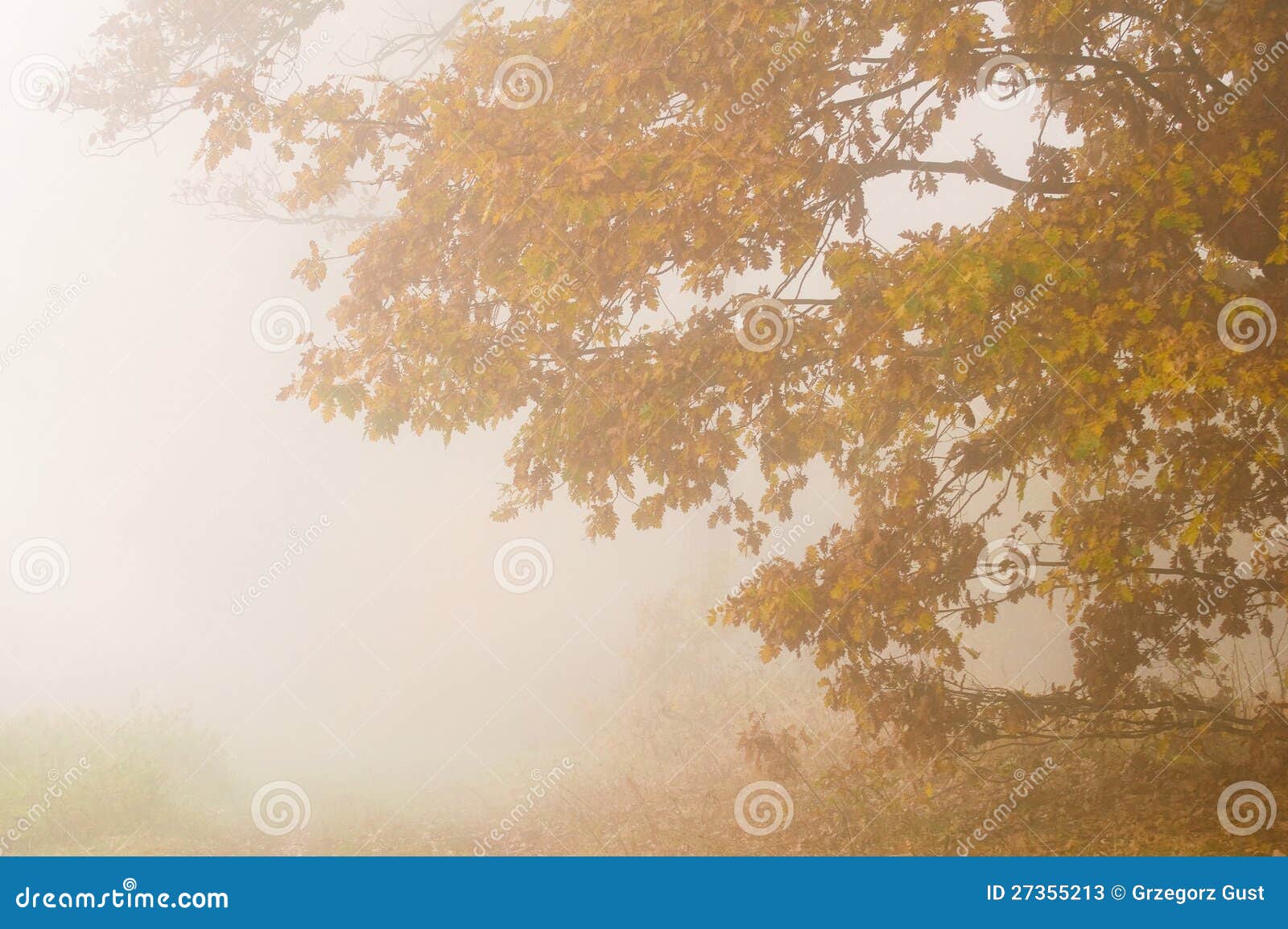Autumn mist stock image. Image of purple, beautiful, beauty - 27355213