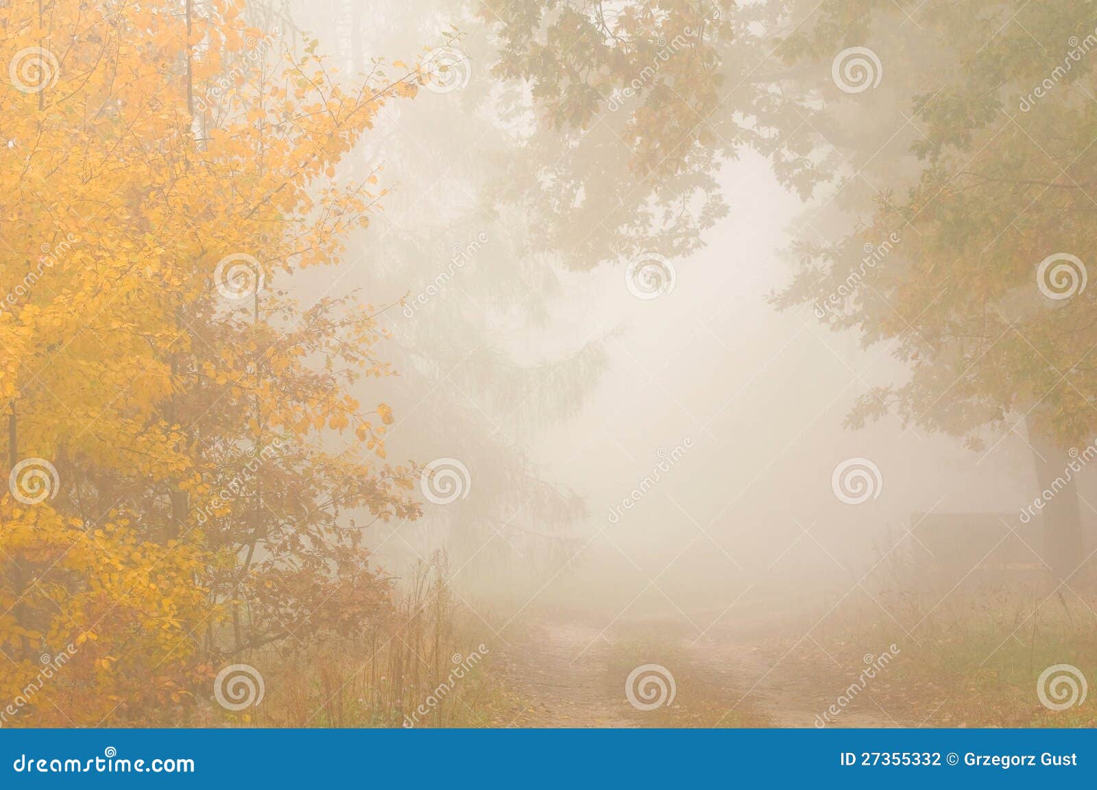 Autumn mist stock photo. Image of mistiness, landscape - 27355332