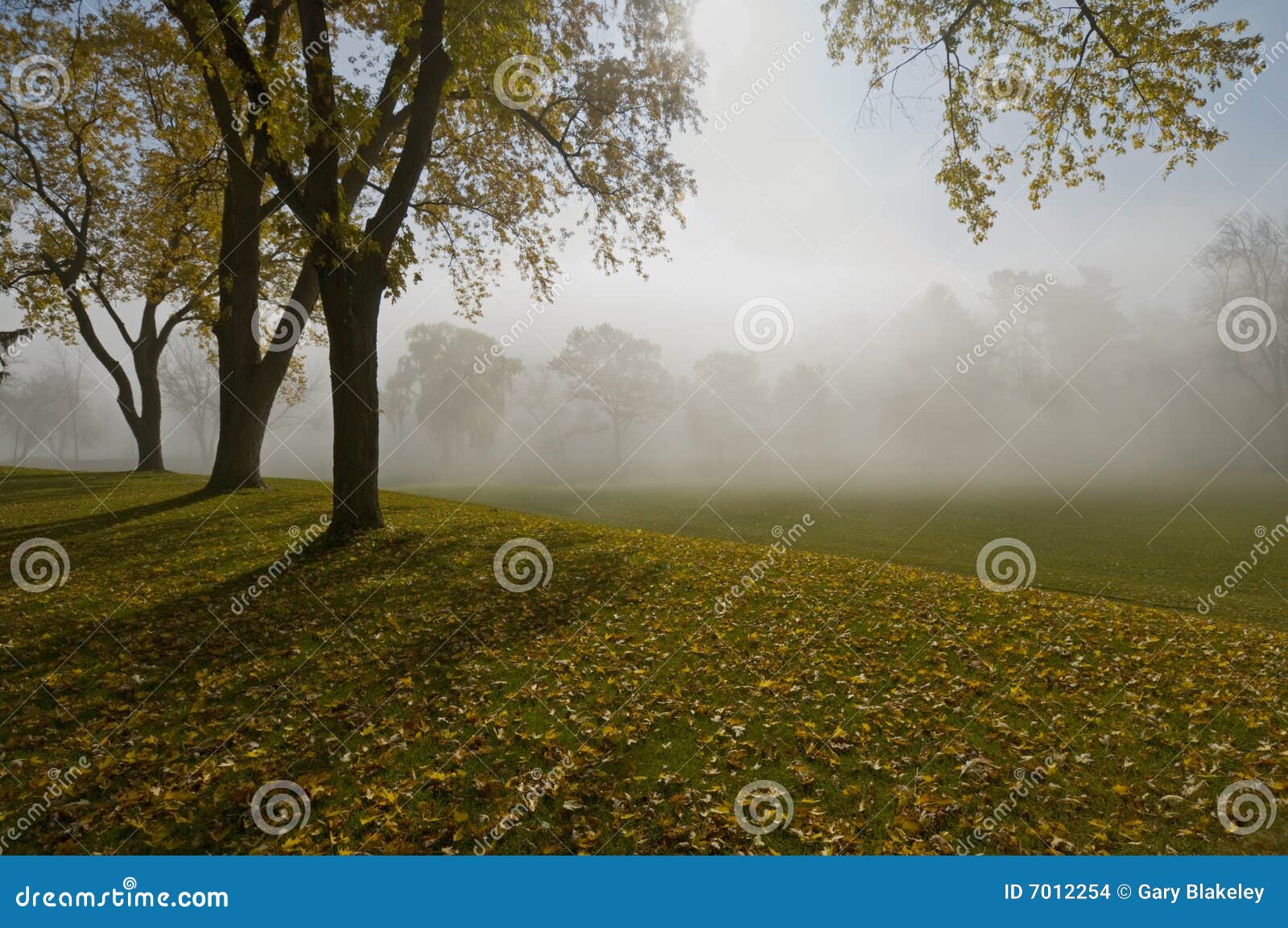 Autumn Mist stock photo. Image of misty, harvest, colour - 7012254