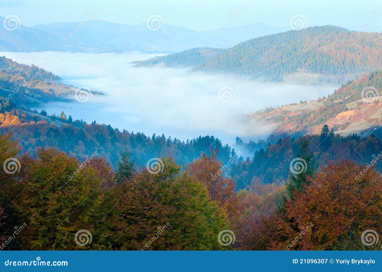 Autumn Misty Morning Mountain Valley Stock Image - Image of hill ...