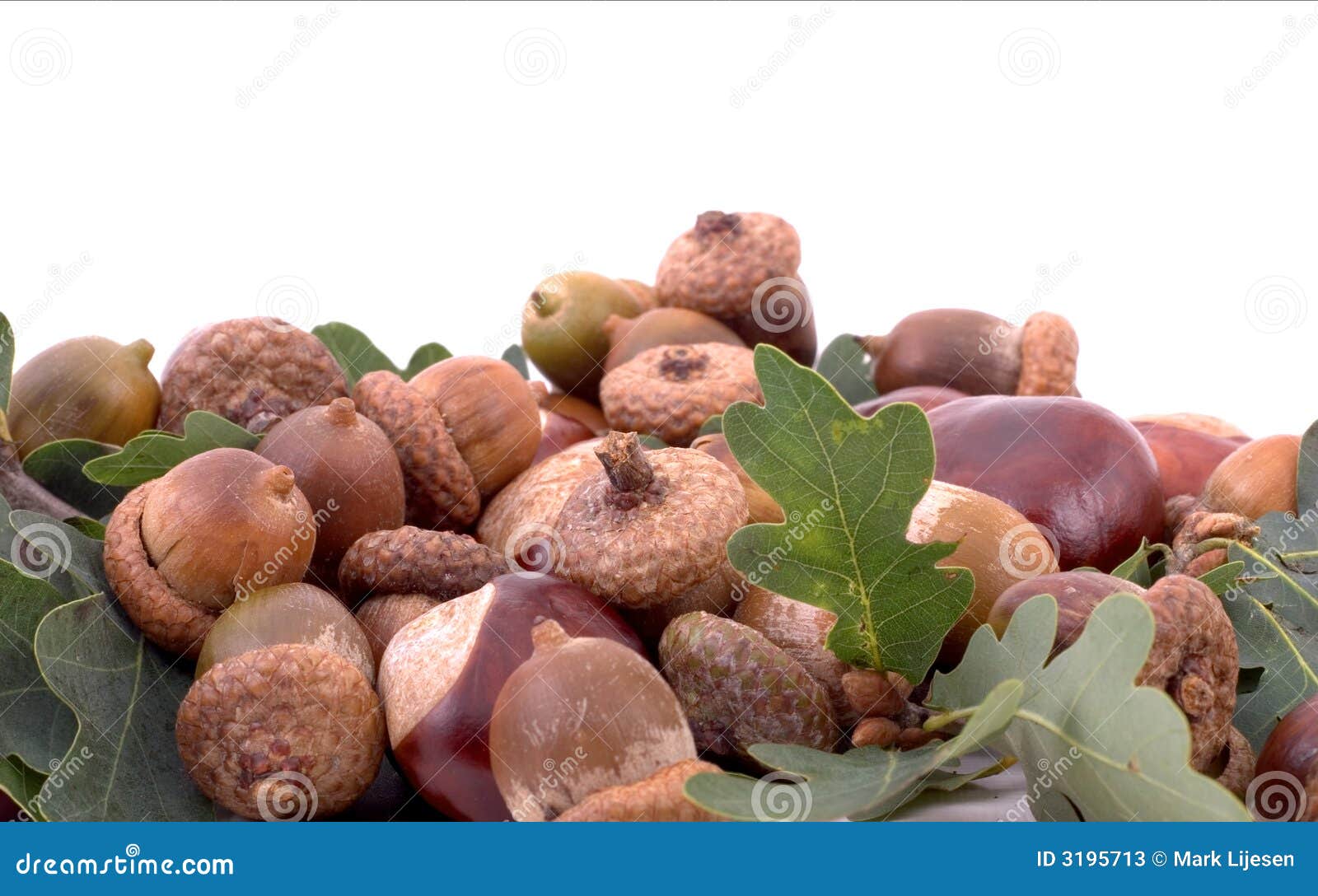 Autumn mix stock image. Image of piled, pile, bunch, eating - 3195713