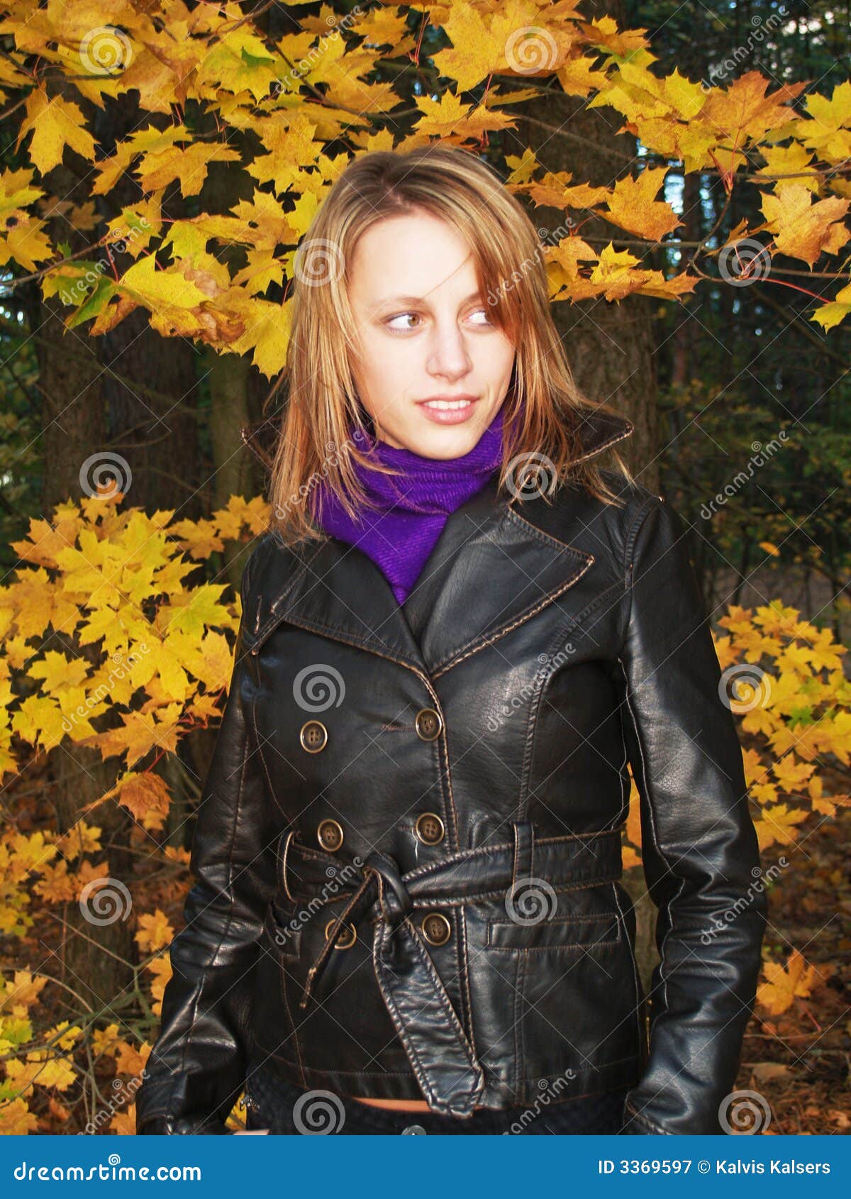 Autumn model stock image. Image of forest, seasonal, girl - 3369597