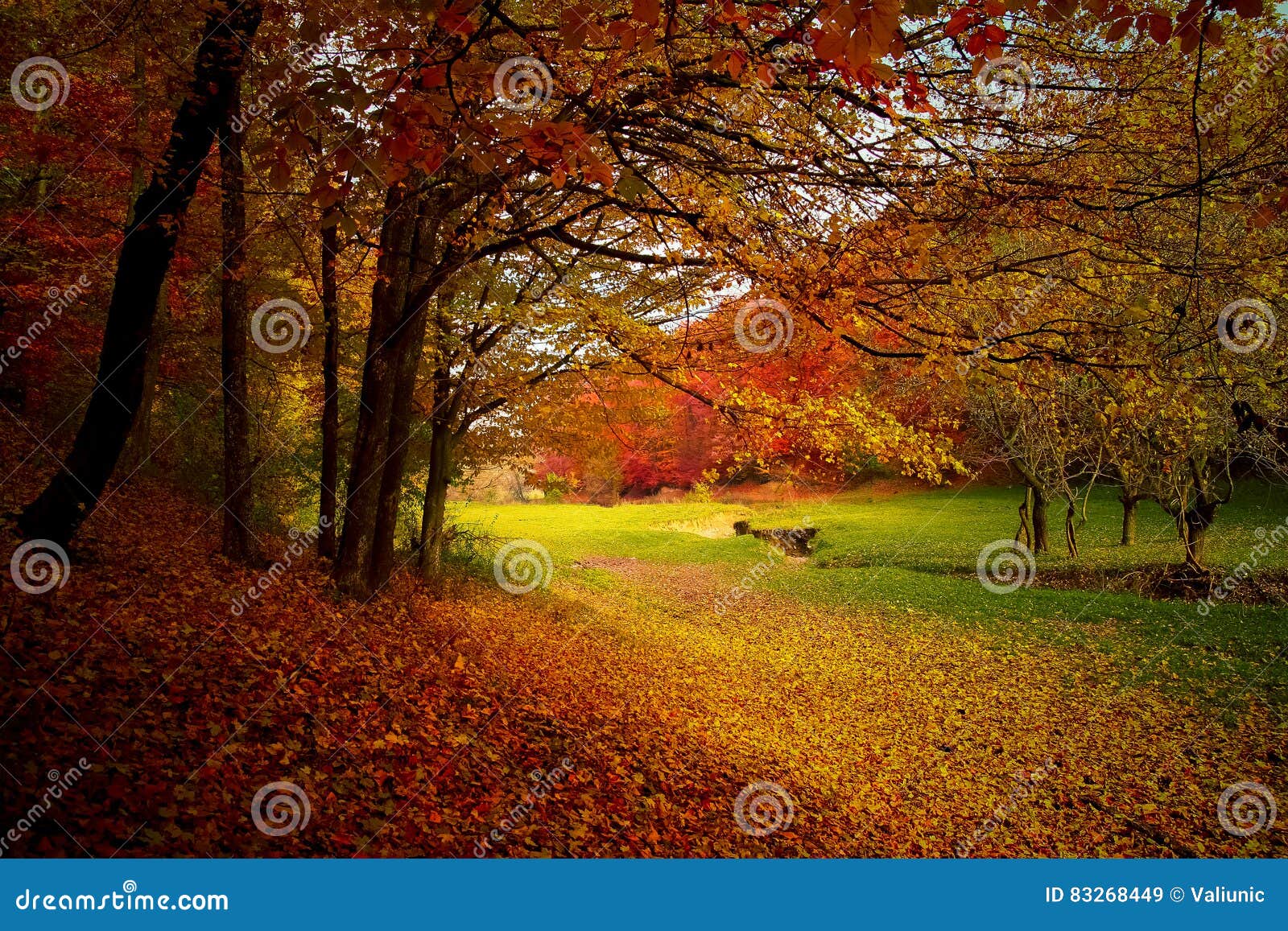 Autumn moment stock image. Image of fall, autumn, seasonal - 83268449