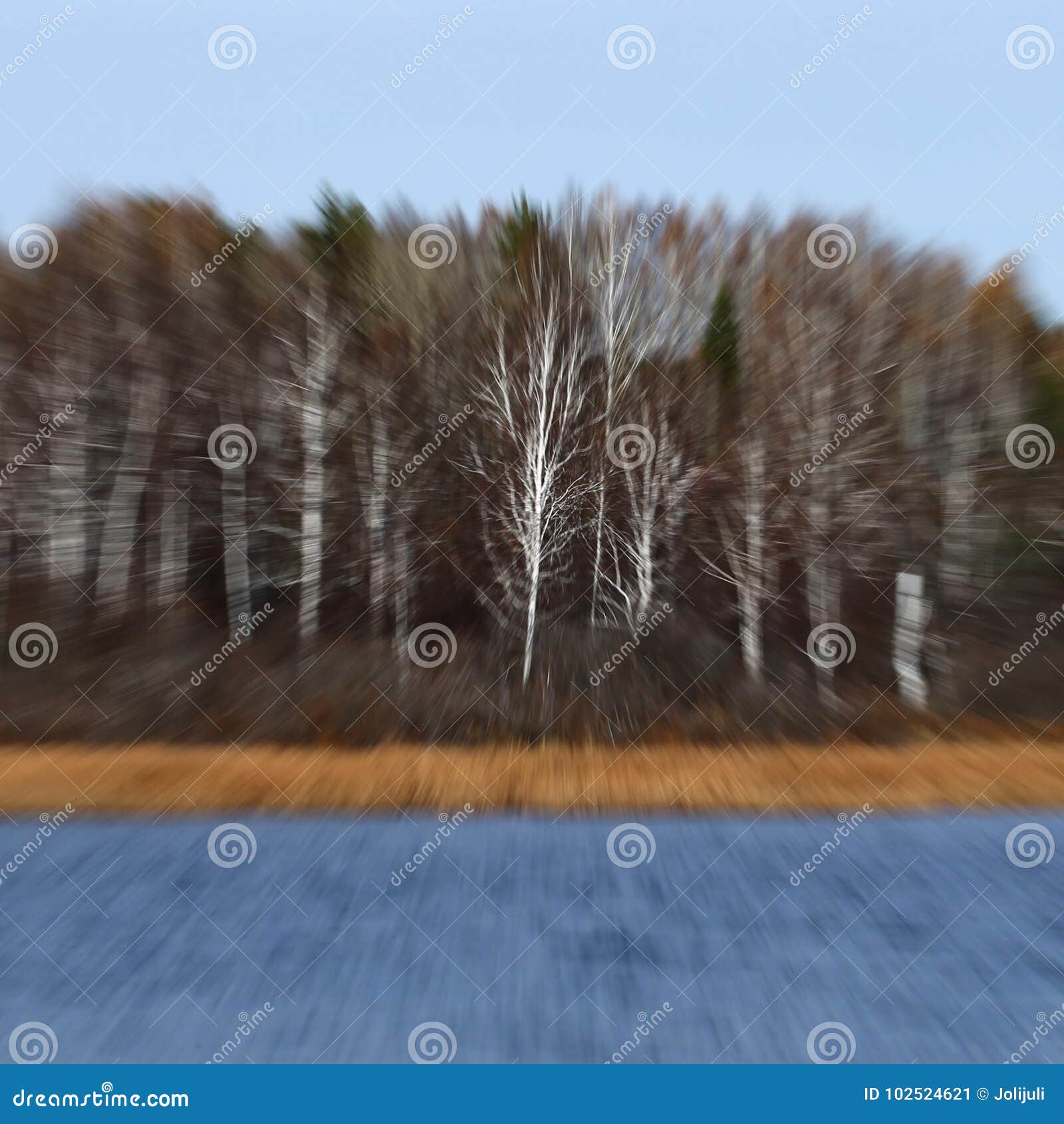 Autumn moments stock image. Image of intentional, natural - 102524621