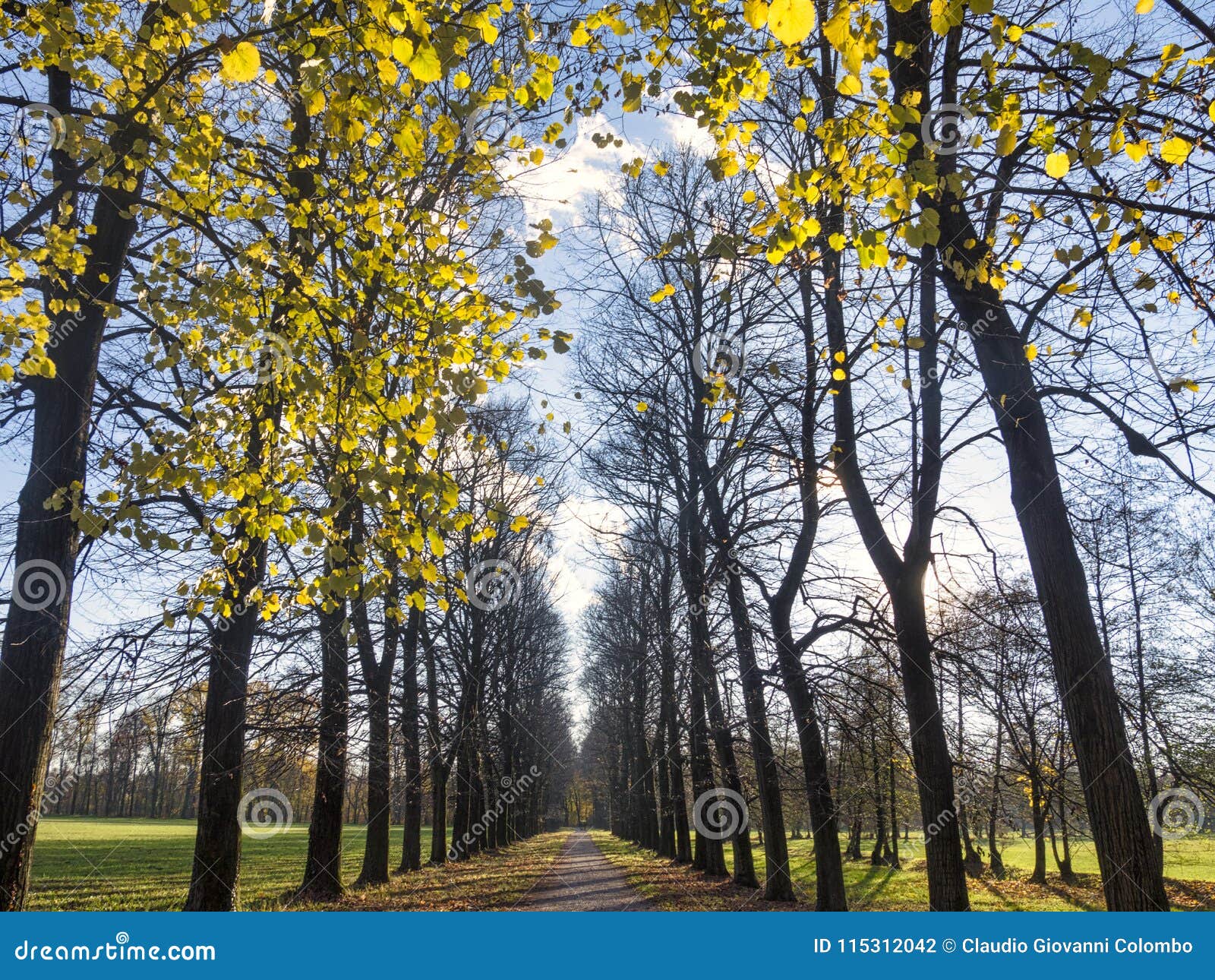 Autumn in the Monza park stock photo. Image of lombardy - 115312042