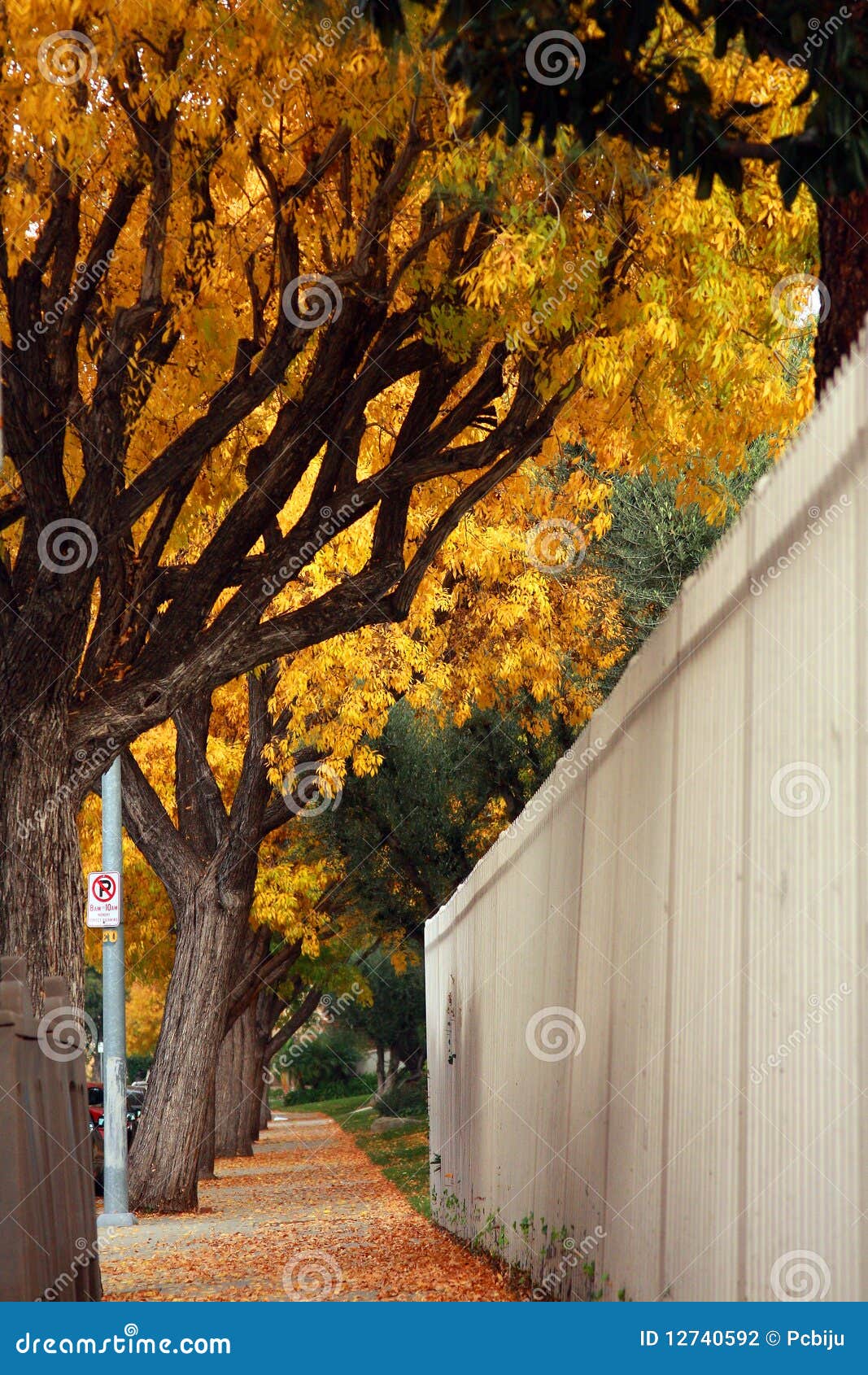 Autumn mood stock photo. Image of seasonal, changing - 12740592