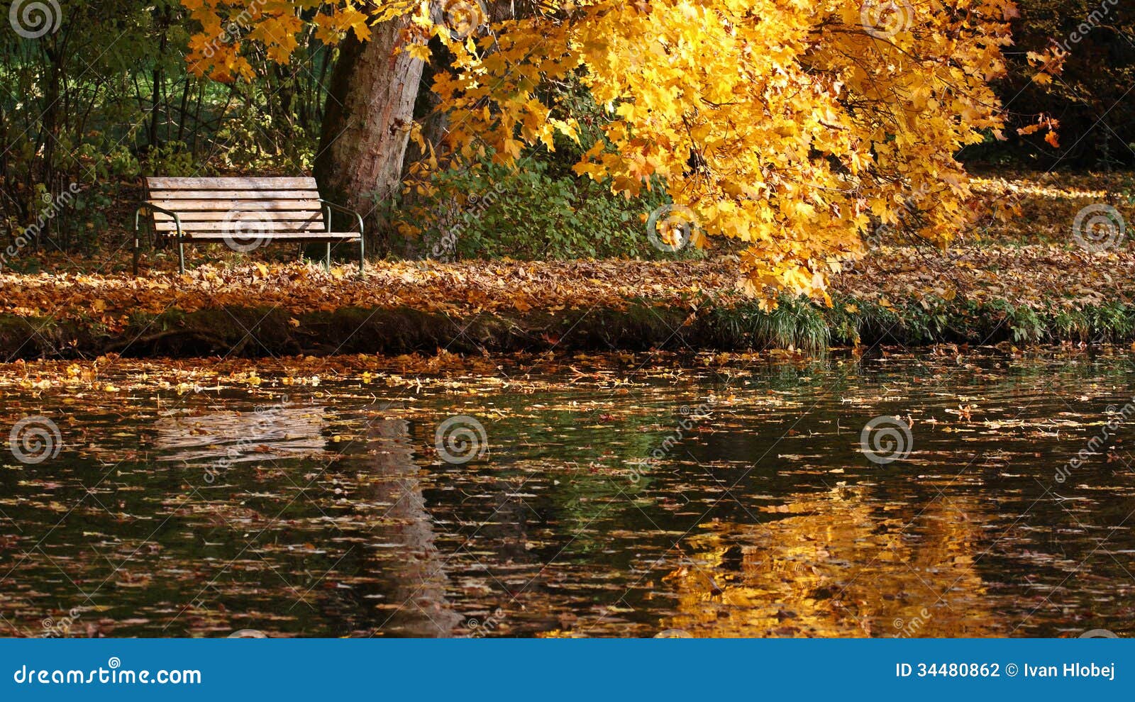 Autumn mood stock photo. Image of pond, colour, bench - 34480862