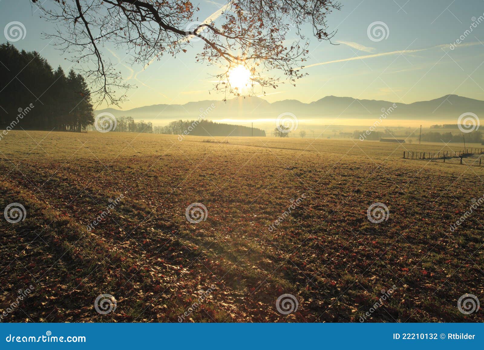 Autumn morning stock photo. Image of leaf, land, environment - 22210132