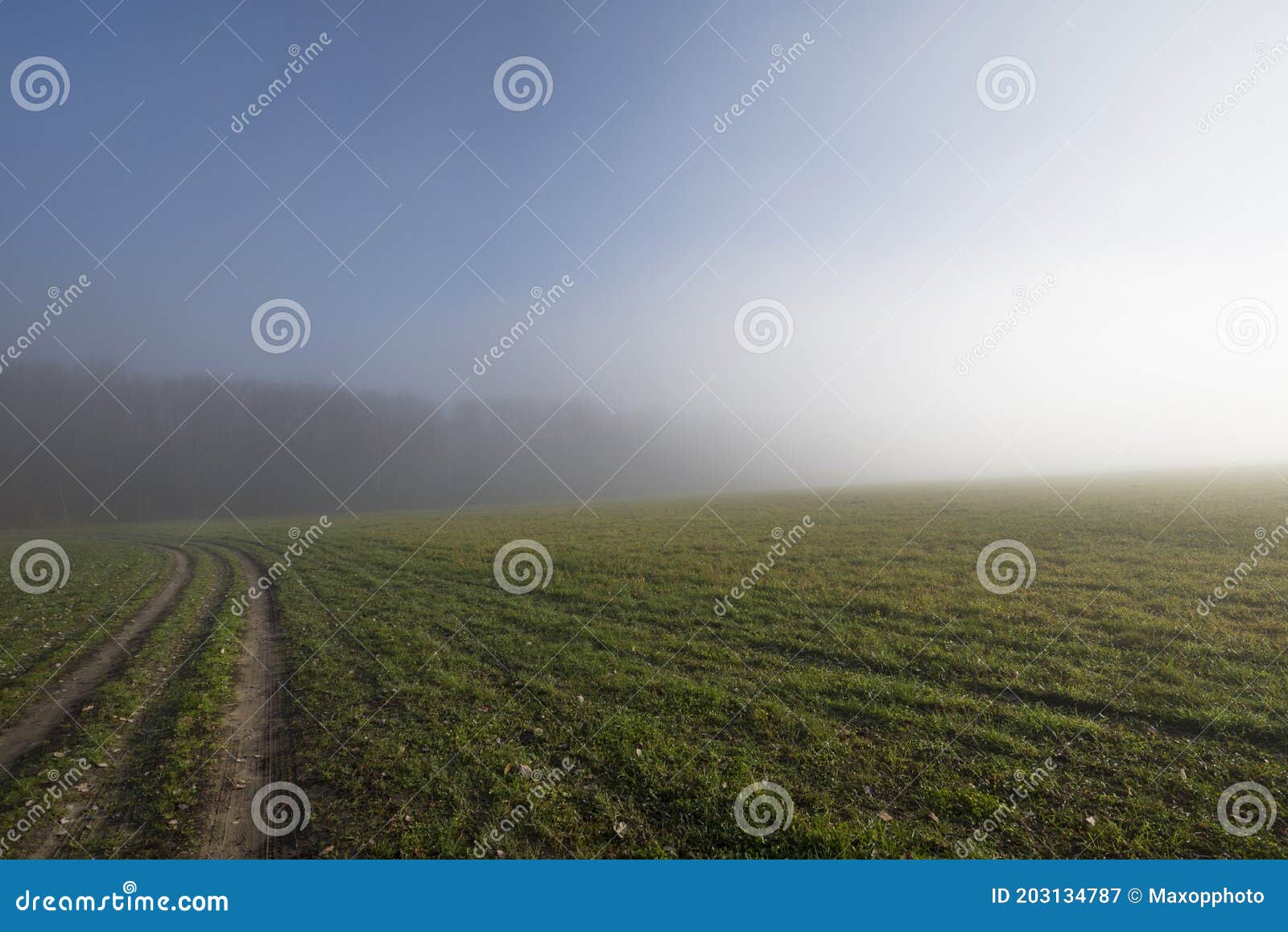 Autumn Morning on a Field with Trees and Morning Glow Stock Image ...