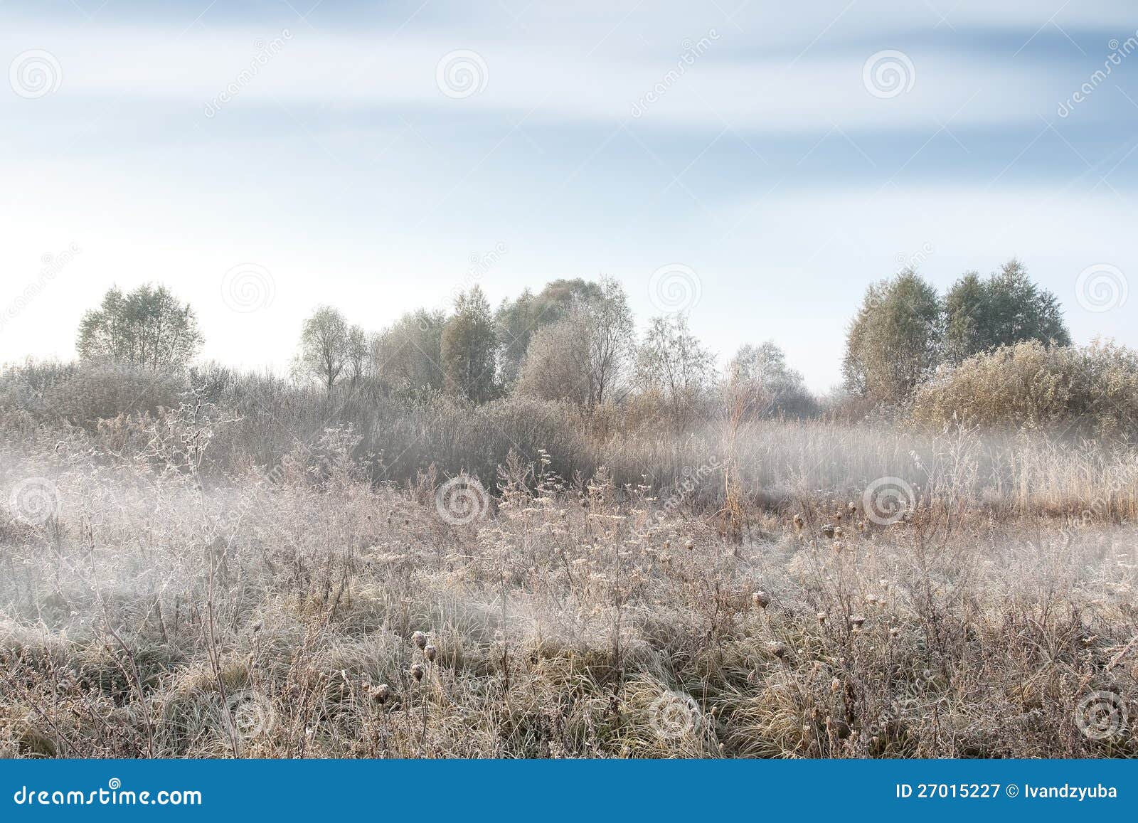 Autumn Morning Foggy Scenery Stock Image - Image of autumn, leaf: 27015227