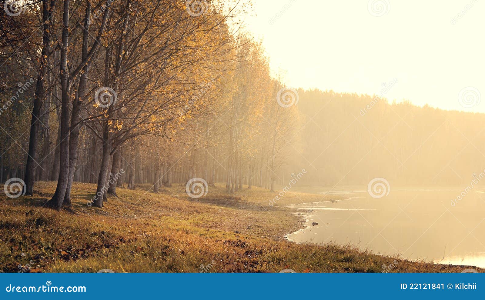 Autumn morning on river stock image. Image of nature - 22121841
