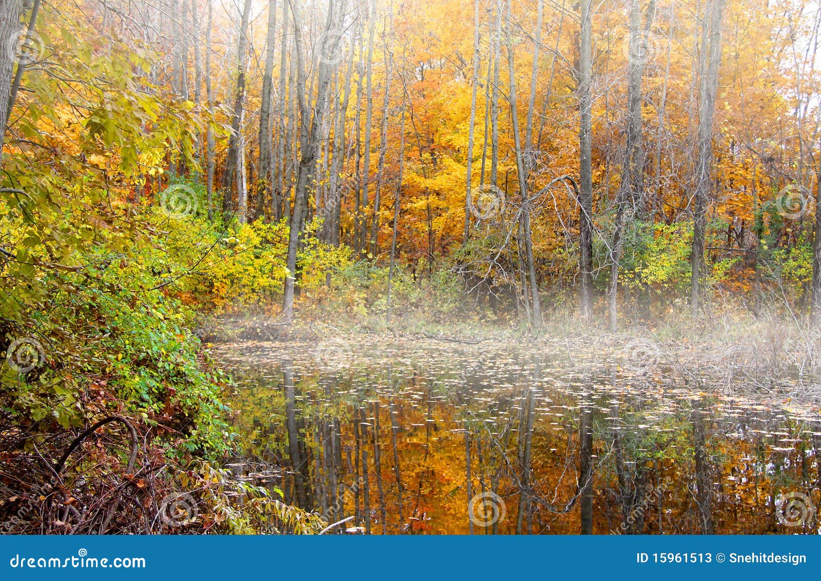 Autumn morning scene stock image. Image of park, reflection - 15961513