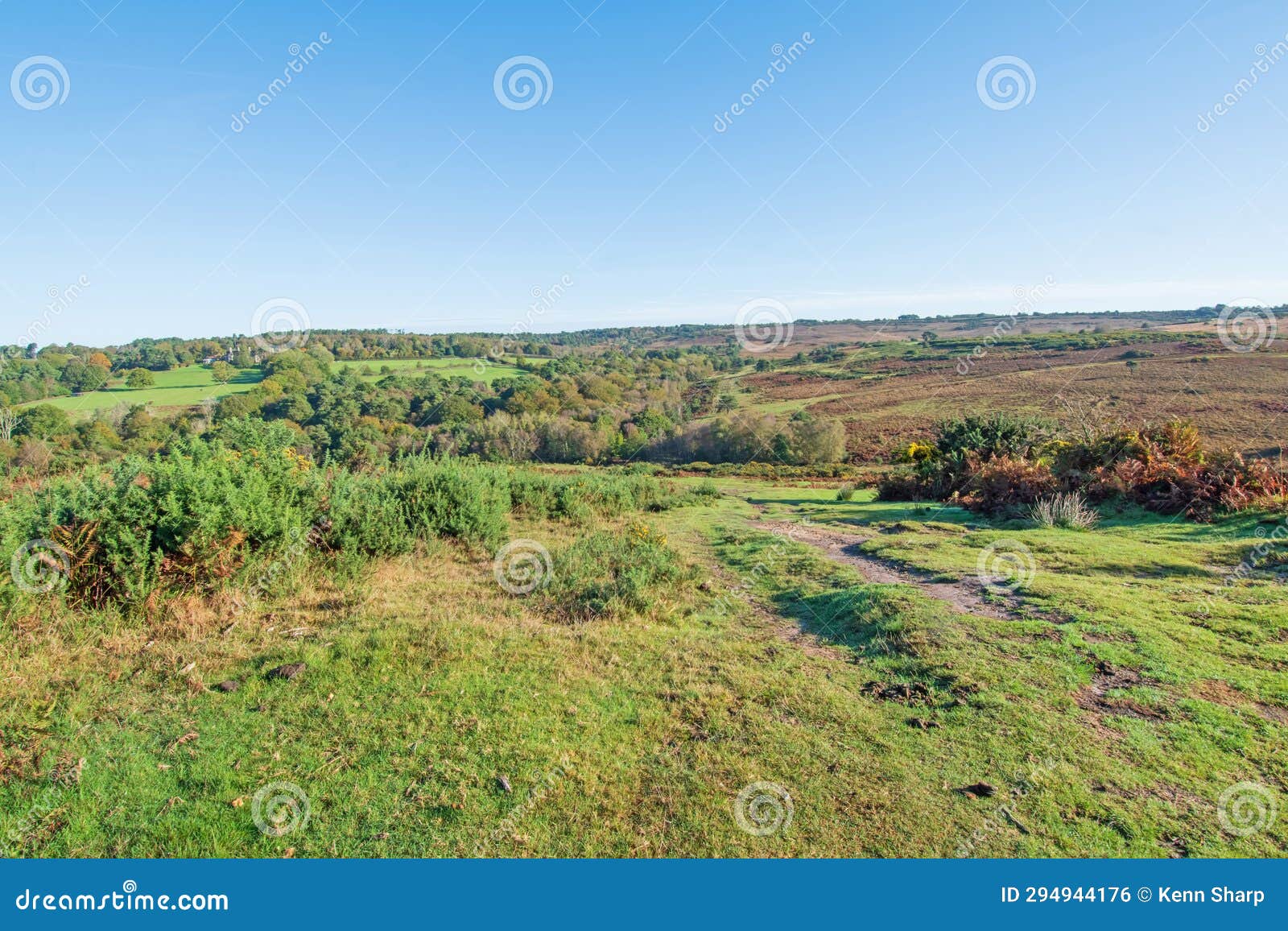 An Autumn Morning View Across the Open Spaces of Ashdown Forest England ...