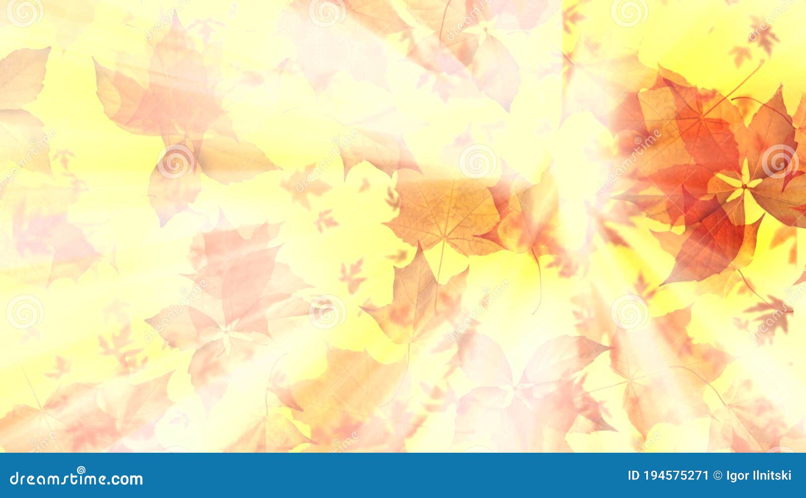 Autumn Motive. Falling Leaves on a Yellow Background. Stock Video ...