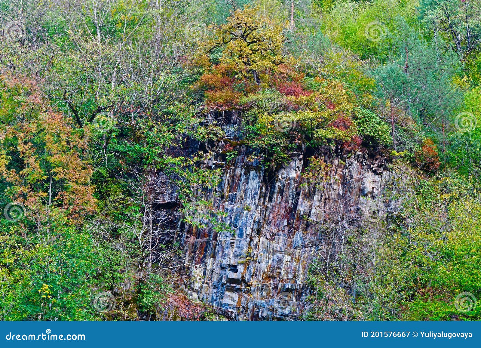 Autumn Mountain Forest with Sheer Cliff Stock Image - Image of ...