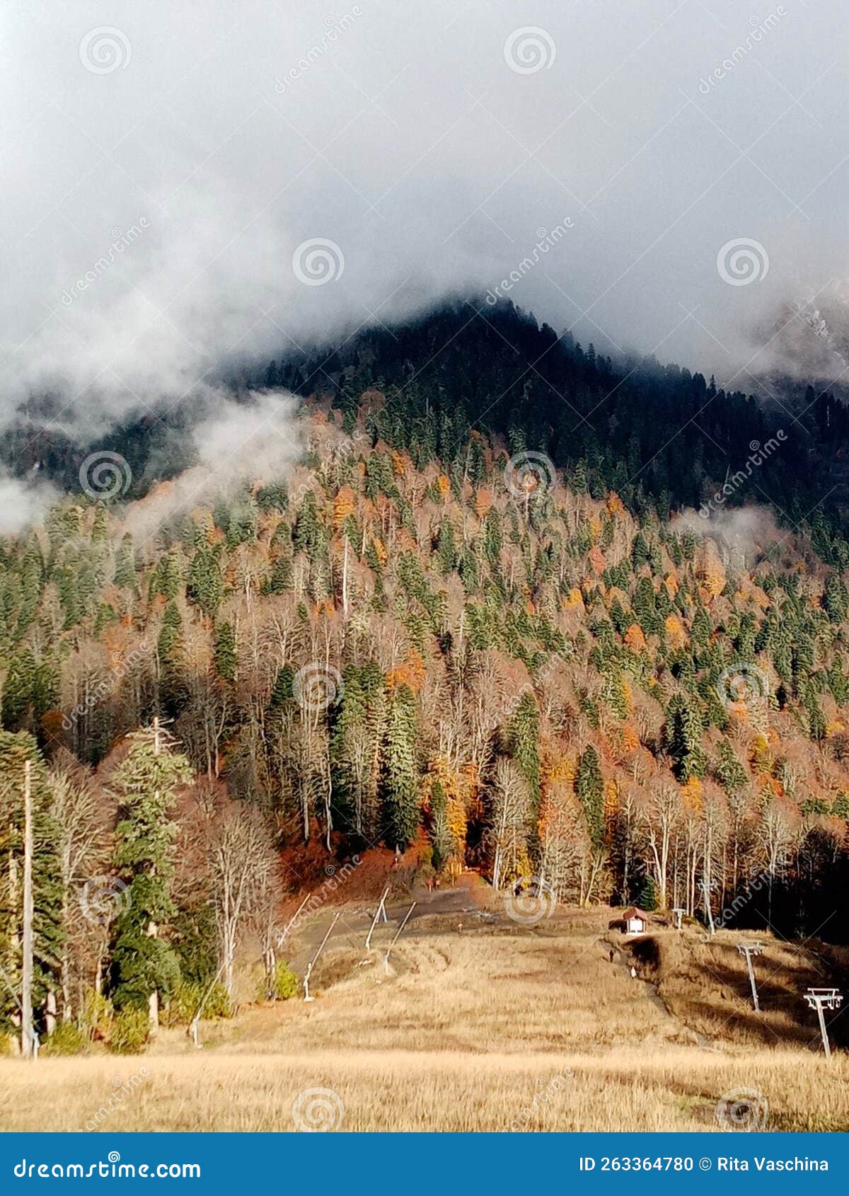 Autumn in Mountain. Golden Yellow Trees in Mountains and Cloud Stock ...