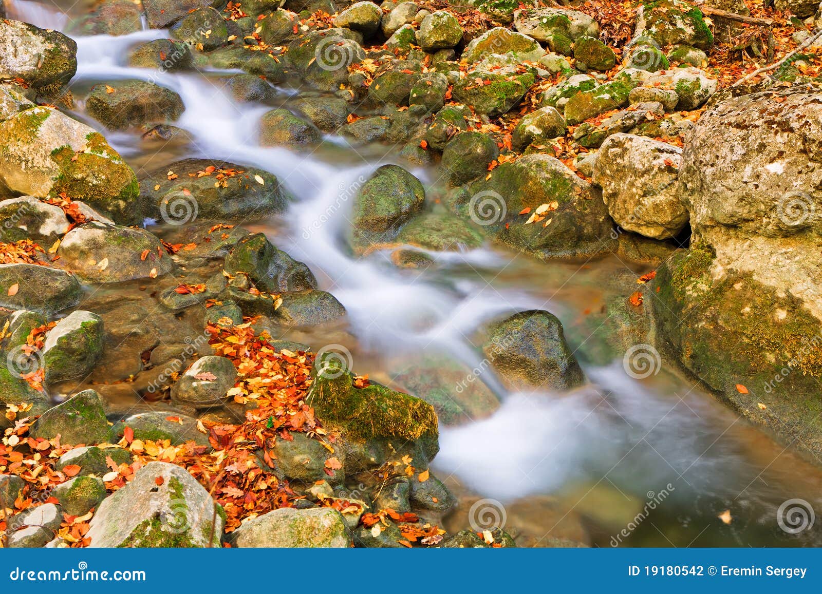 Autumn mountain rivulet stock photo. Image of environment - 19180542