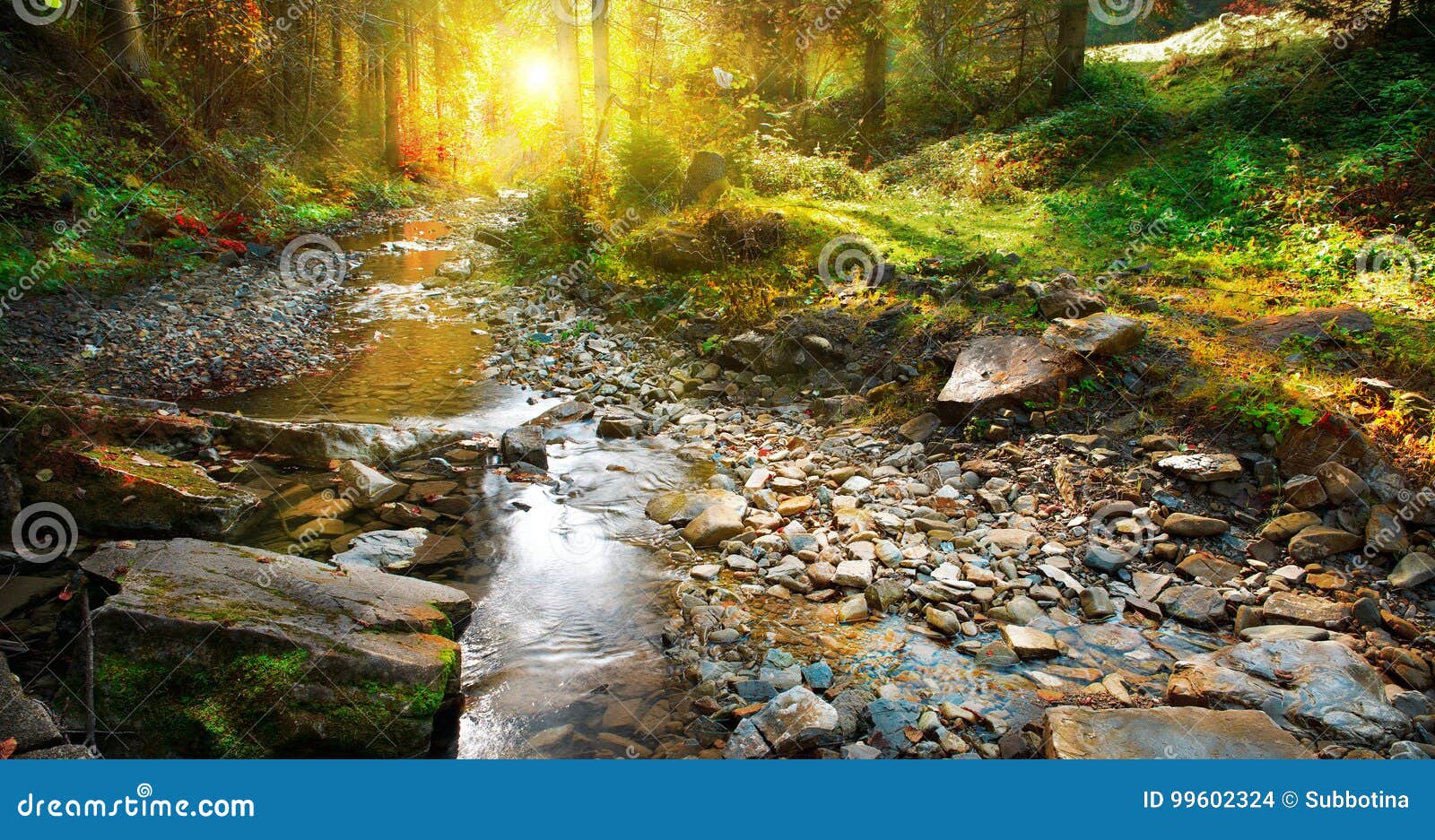 Autumn. Mountain Spring, Forest Landscape Stock Photo - Image of ...