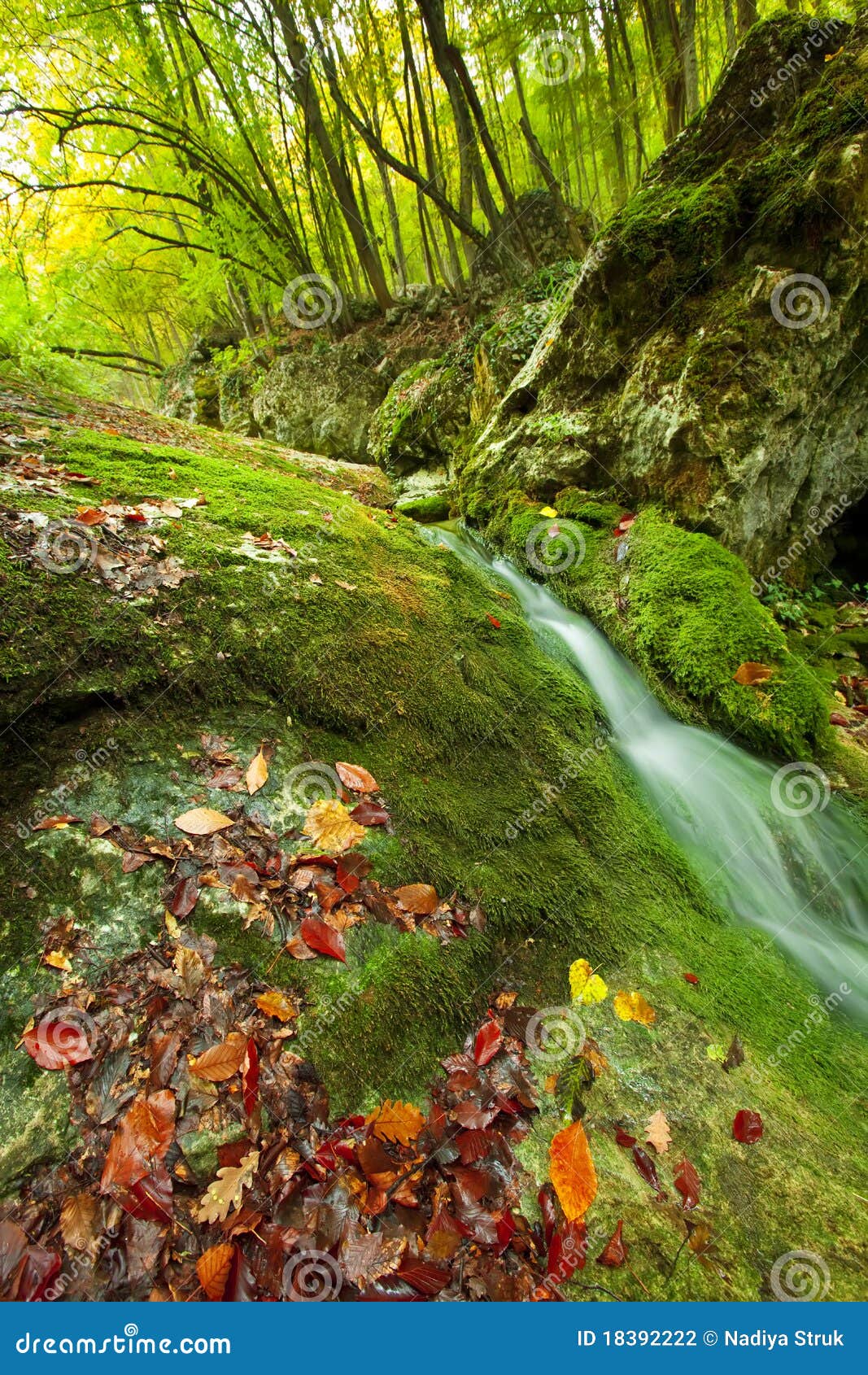 Autumn mountain stream stock photo. Image of natural - 18392222